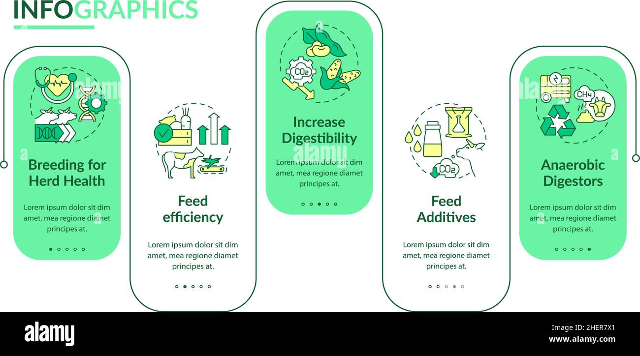 Reducing methane emissions rectangle infographic template Stock Vector ...