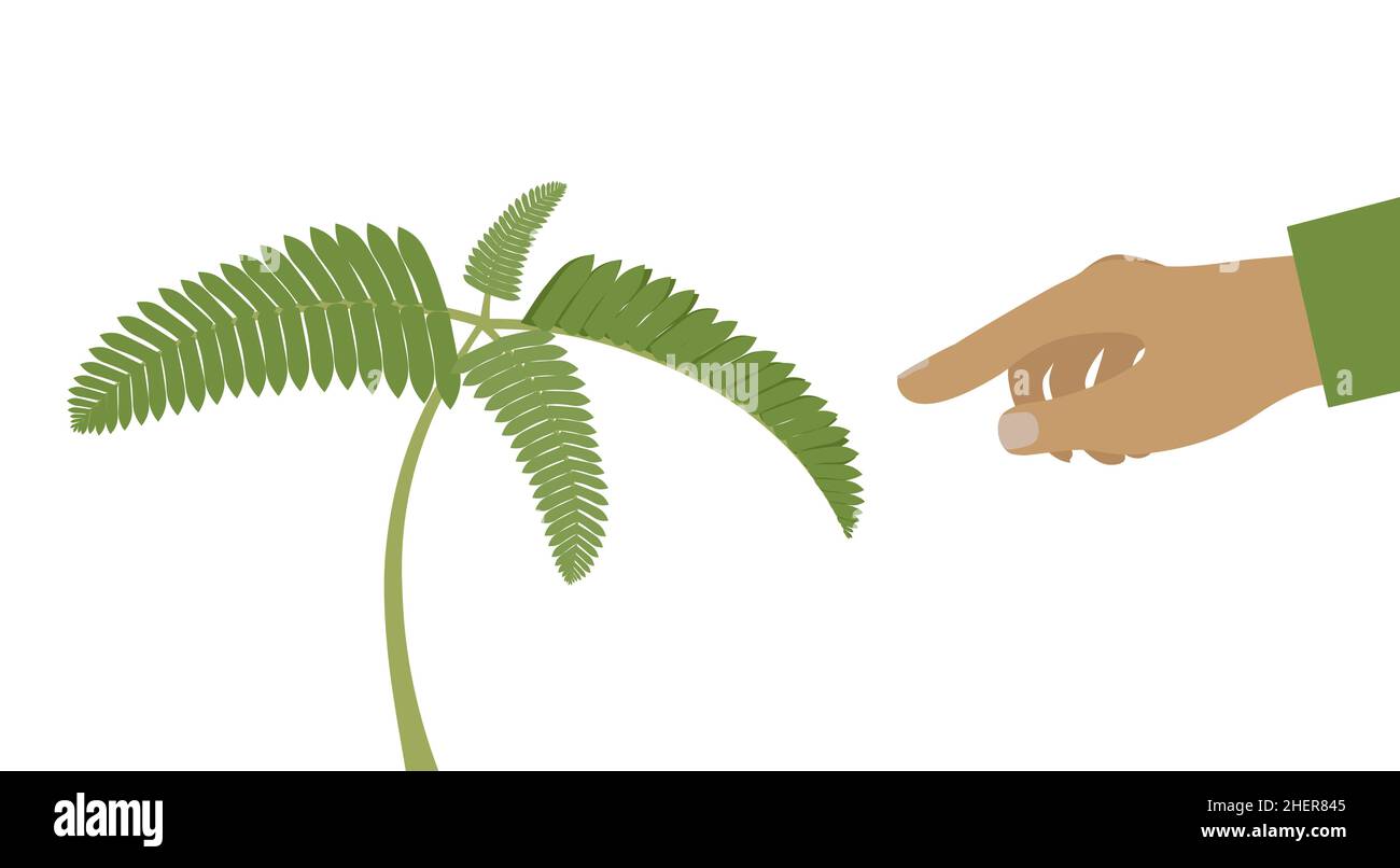 Nastic movements -it is a directional movement in plants in response to ...