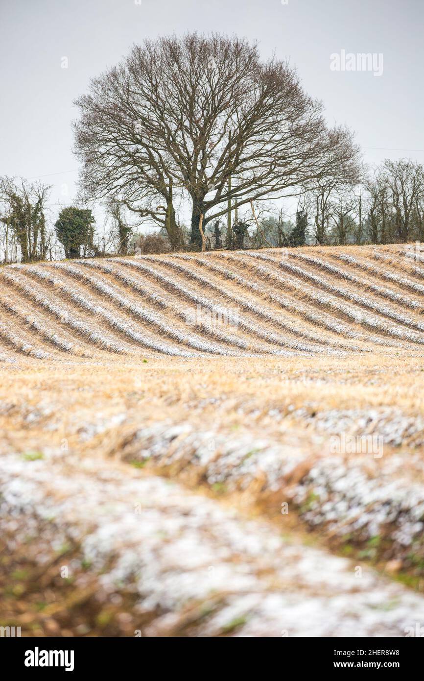 Snow on ploughed field hi-res stock photography and images - Alamy