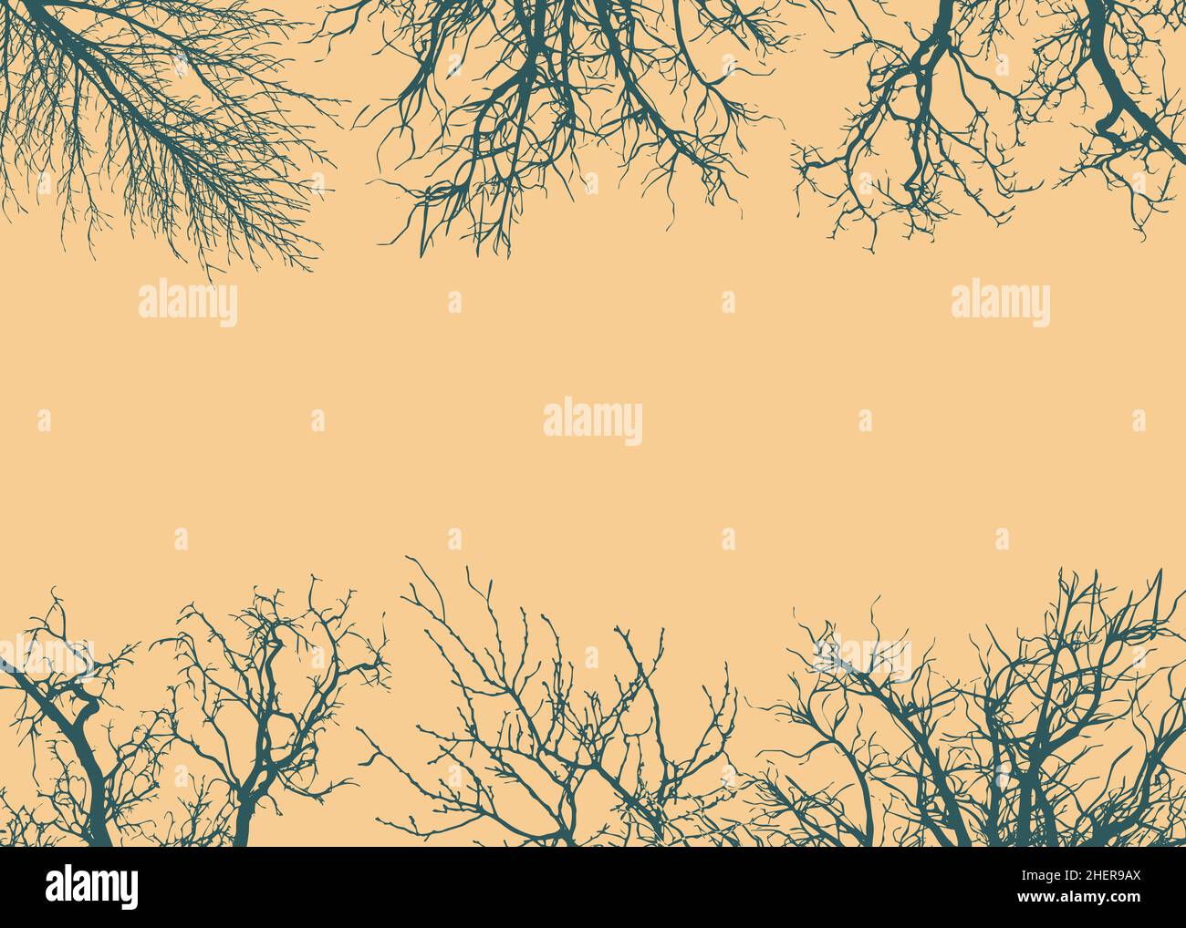 Texture of tree branches on isolate frame Stock Photo - Alamy