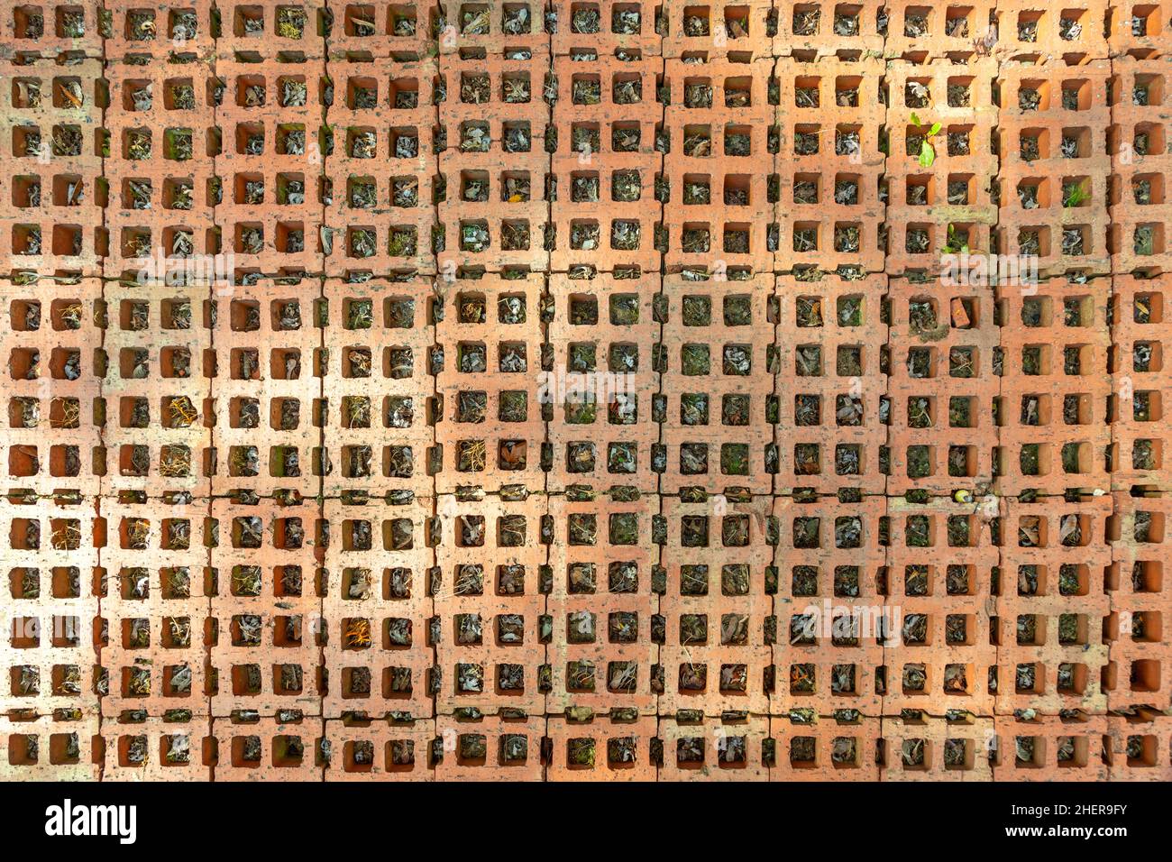 Resilient floor hi-res stock photography and images - Alamy