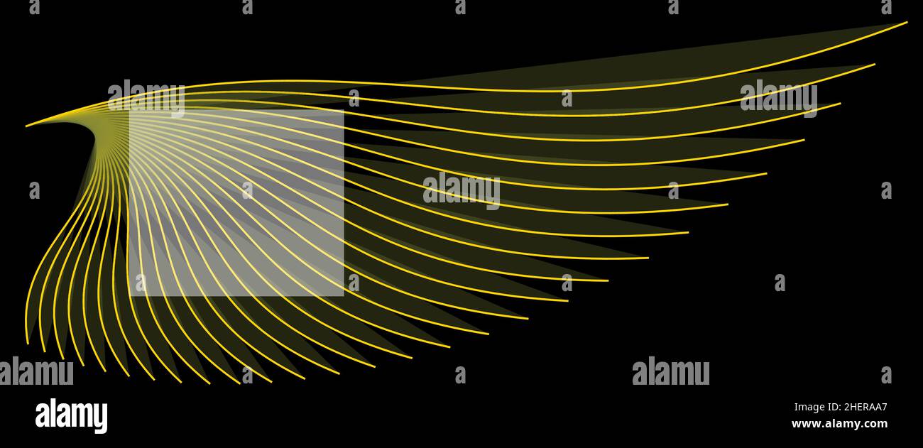 Bird wing of gold color on a black background vector template Stock ...