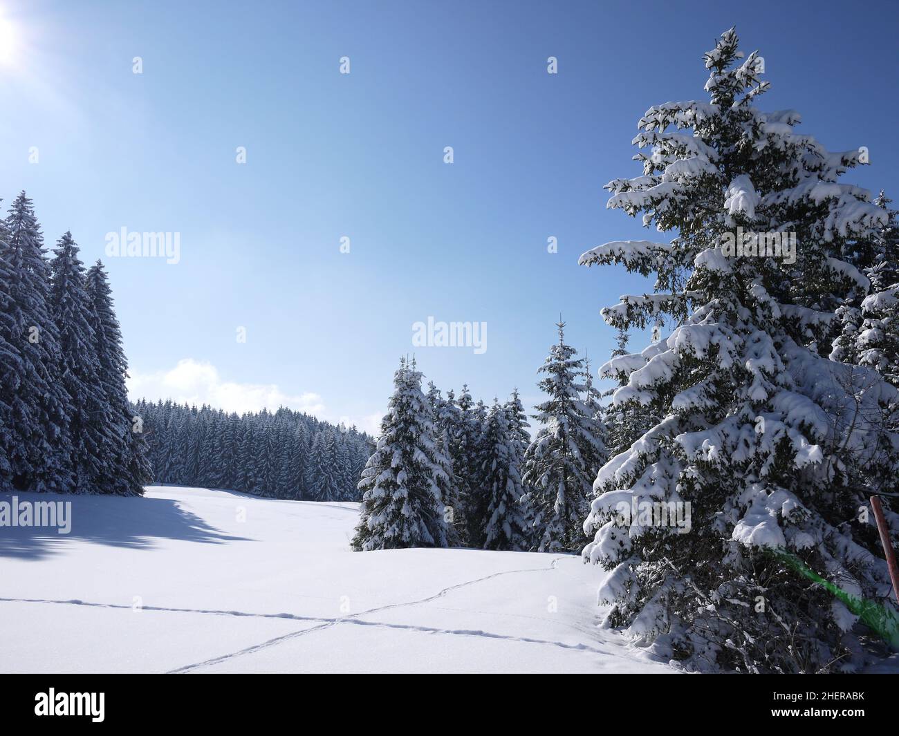 beautiful snowy landscape forest Stock Photo - Alamy