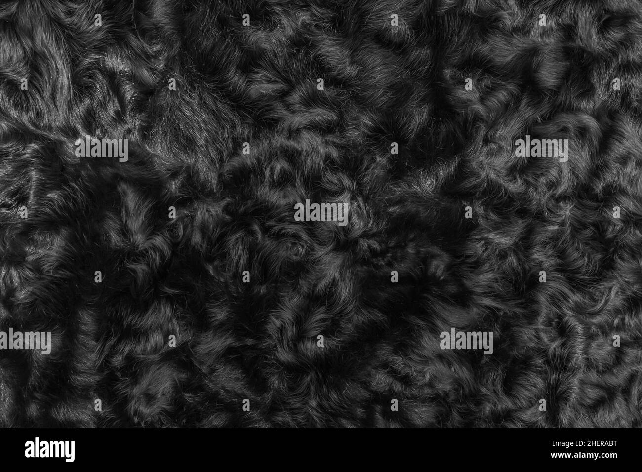 Black wool texture fur background dark soft material abstract surface ...