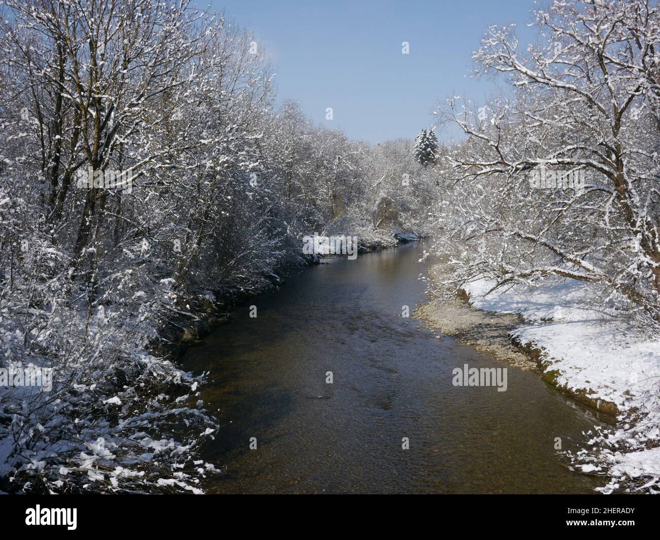 river floating forest Stock Photo - Alamy