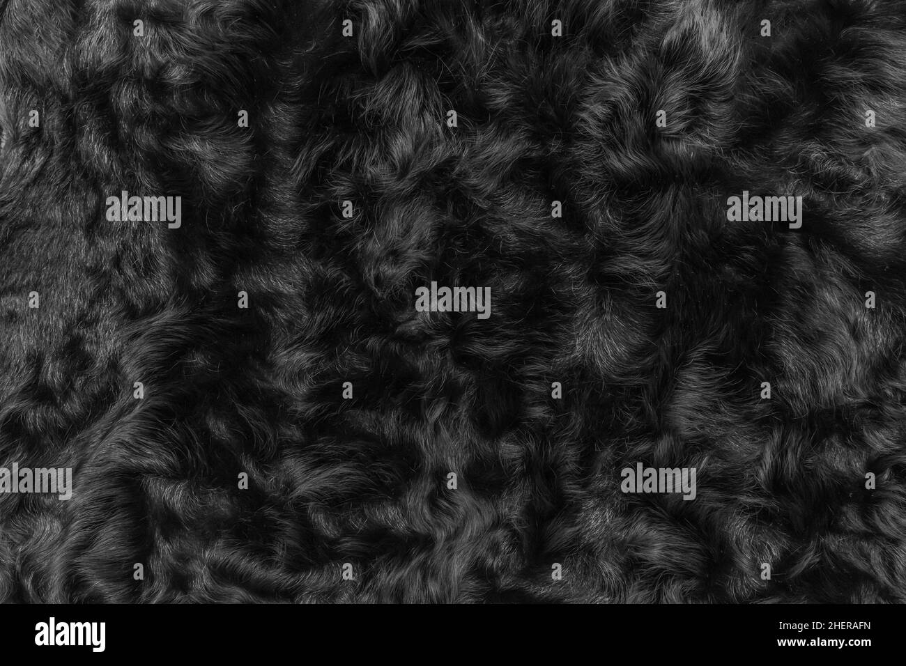 Black wool texture fur background dark soft material abstract surface ...