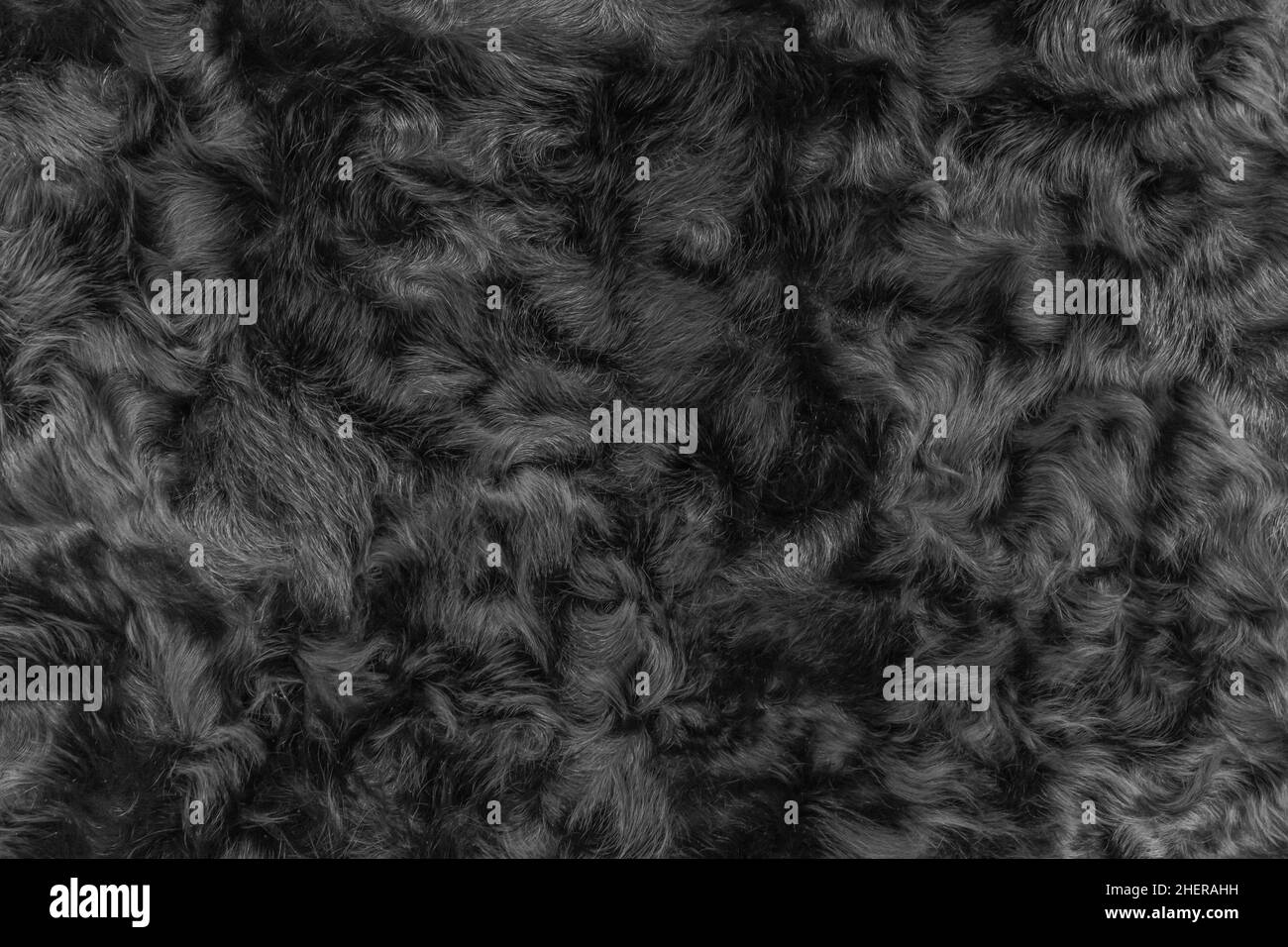Black wool texture fur background dark soft material abstract surface ...