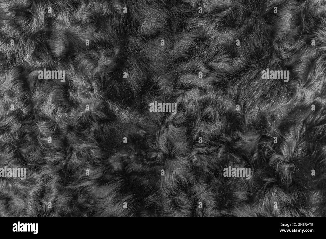 Black wool texture fur background dark soft material abstract surface ...