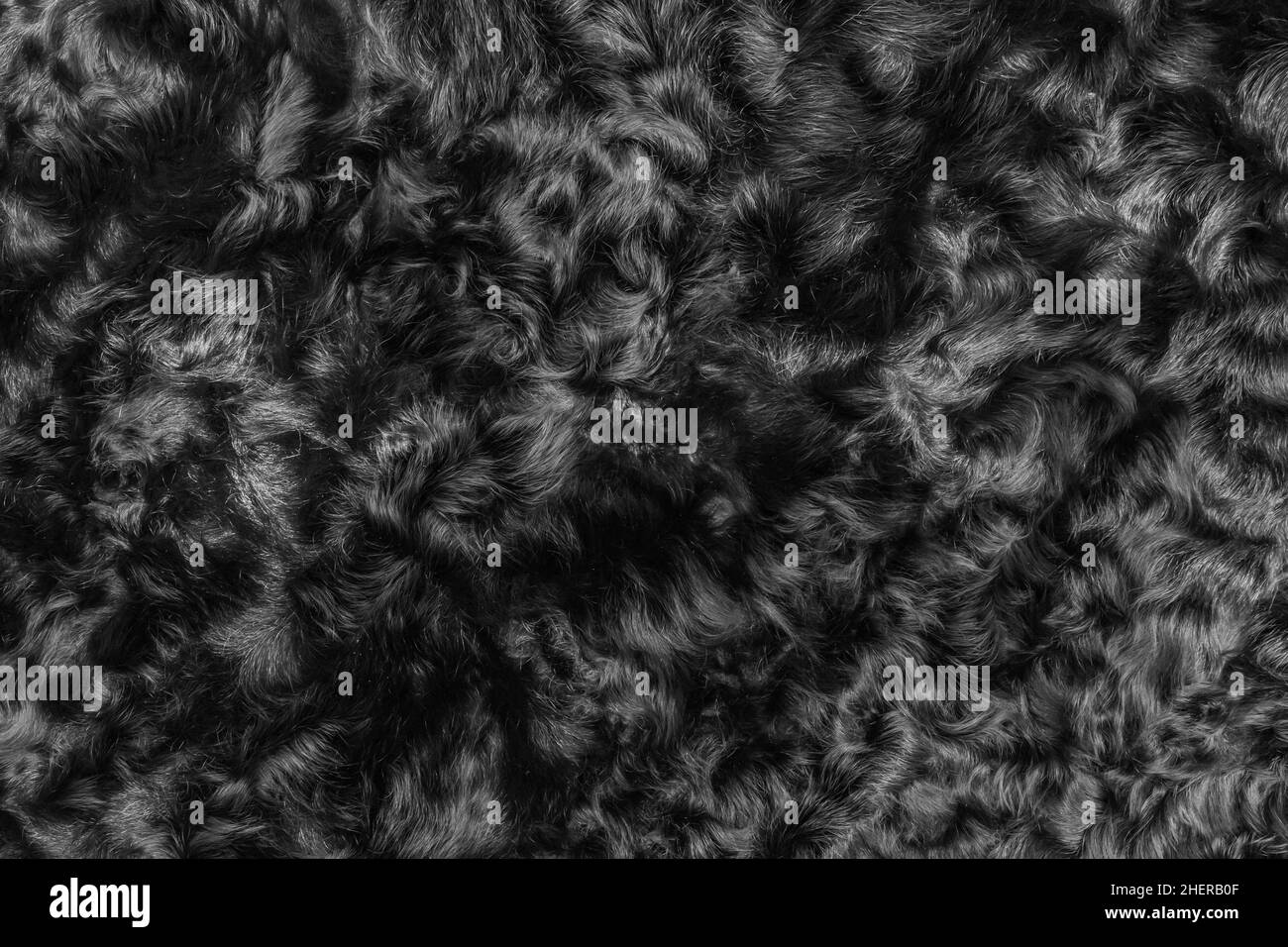 Black wool texture fur background dark soft material abstract surface ...