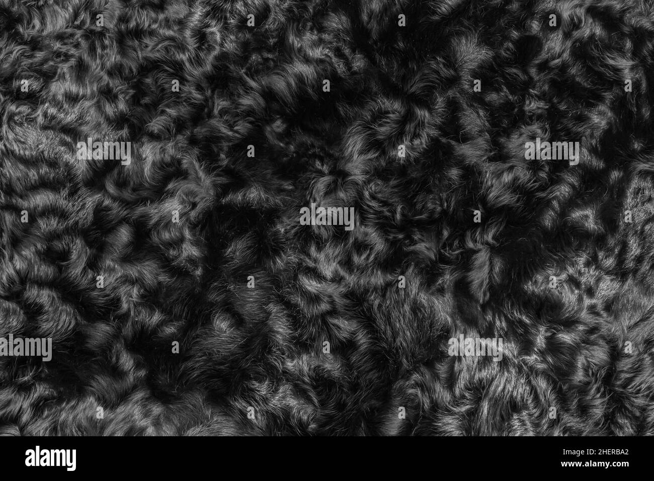 Black wool texture fur background dark soft material abstract surface ...