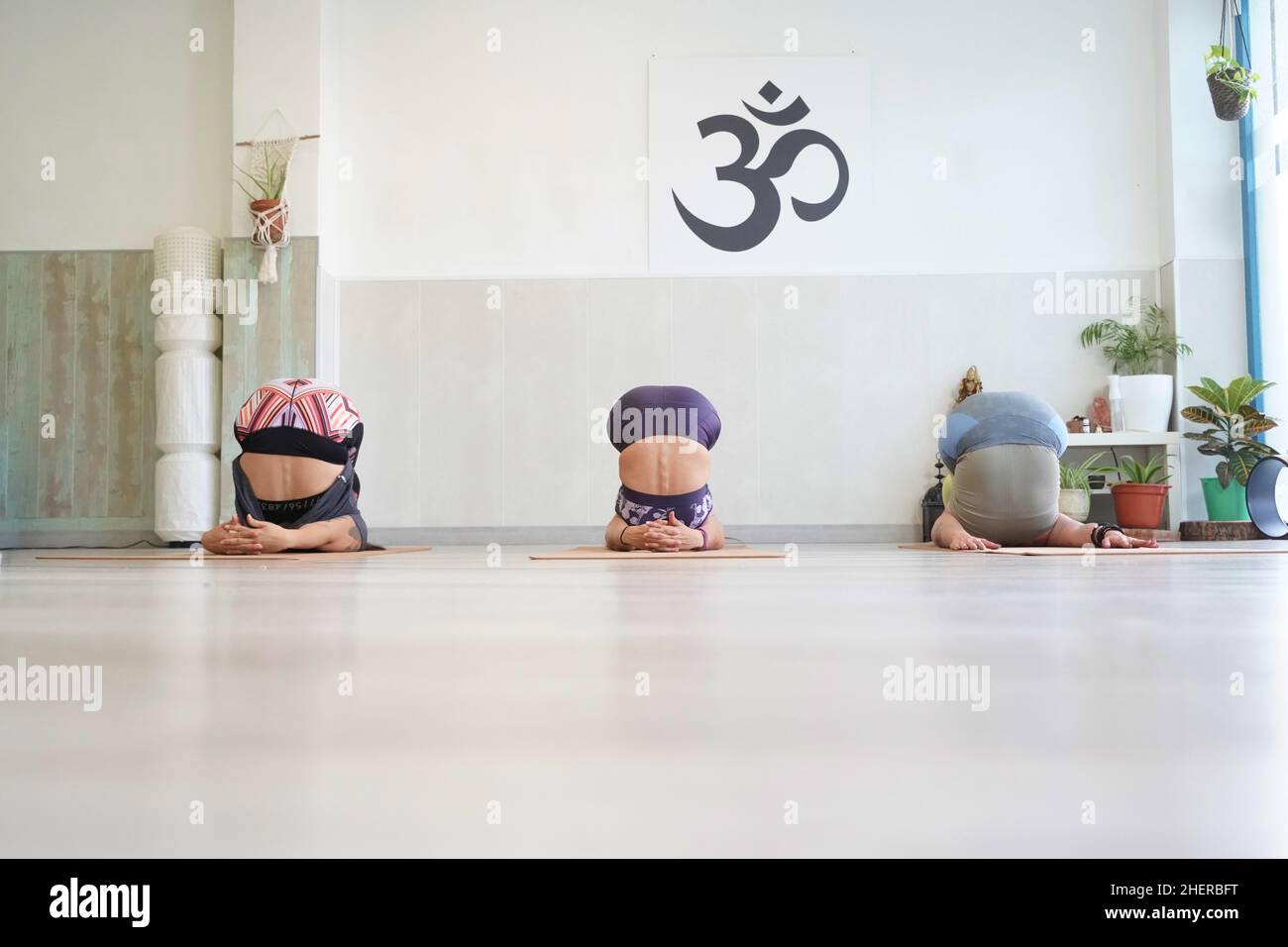 Group of young sporty woman practicing yoga, stretching in Halasana ...