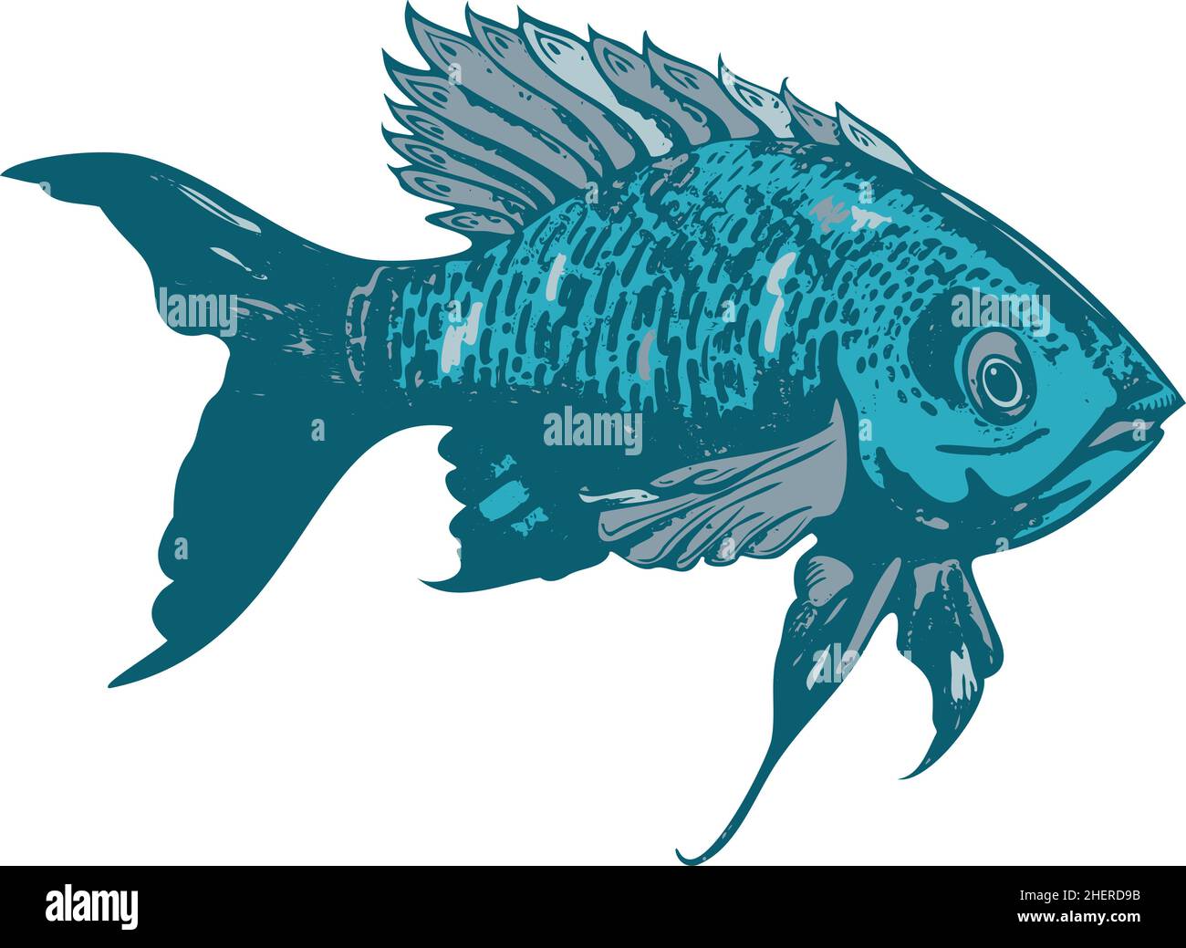 Vector illustration of decorative fish. Hand drawn fish Stock Vector ...