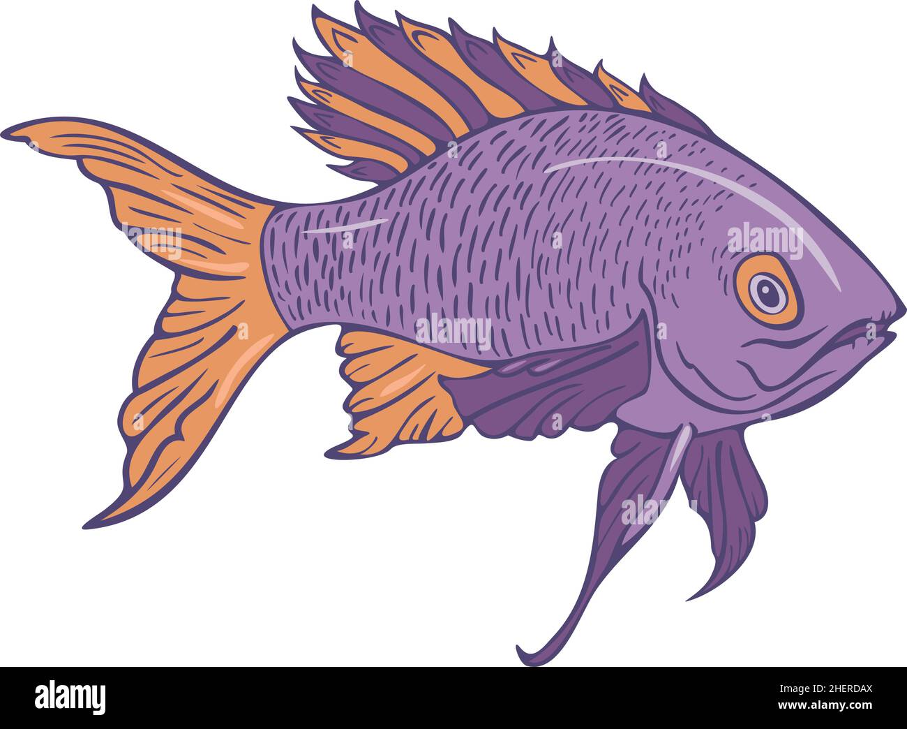 Vector illustration of a fish. Hand drawn isolated fish Stock Vector ...