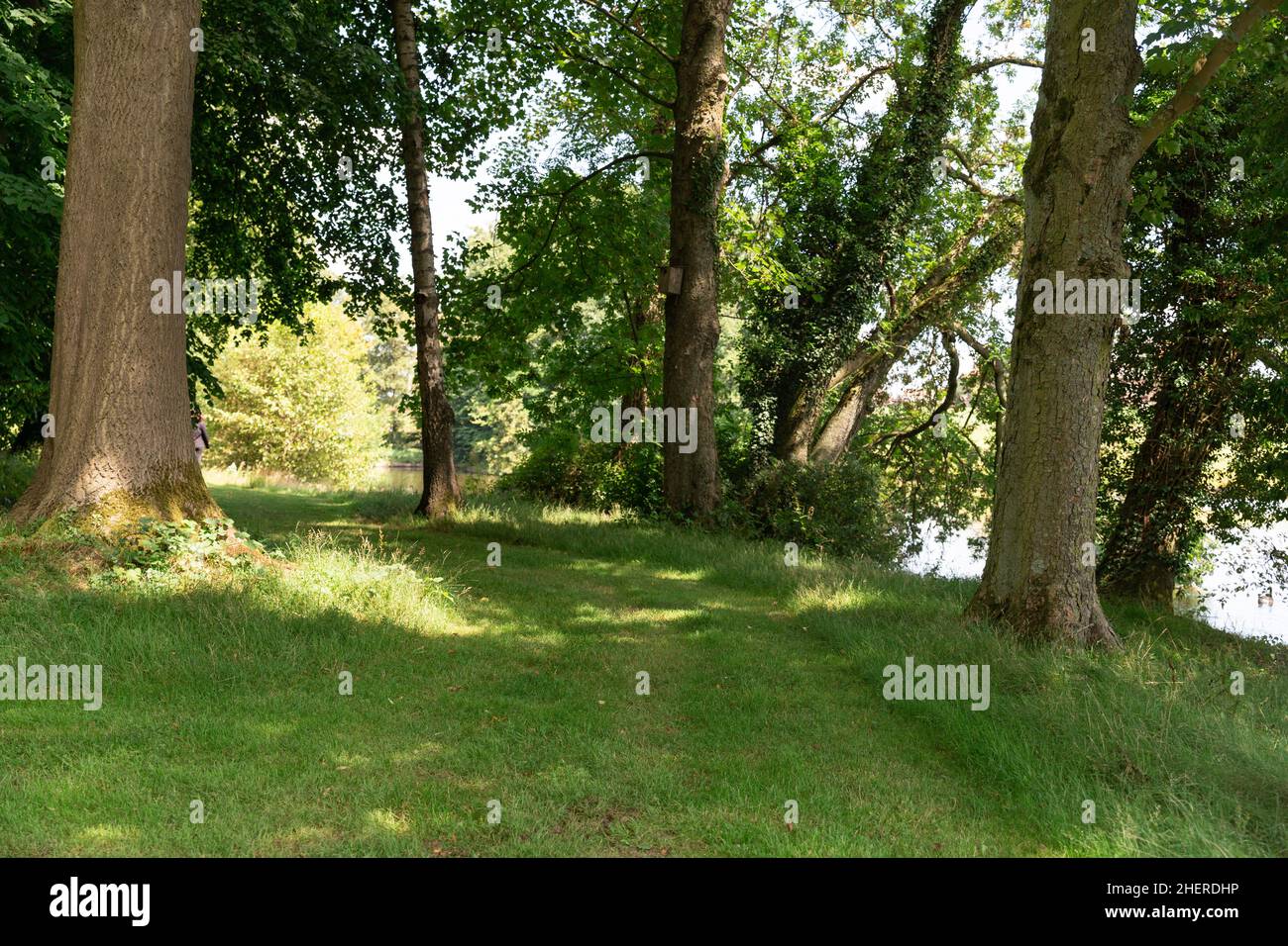 Mown grass pathway hi-res stock photography and images - Alamy