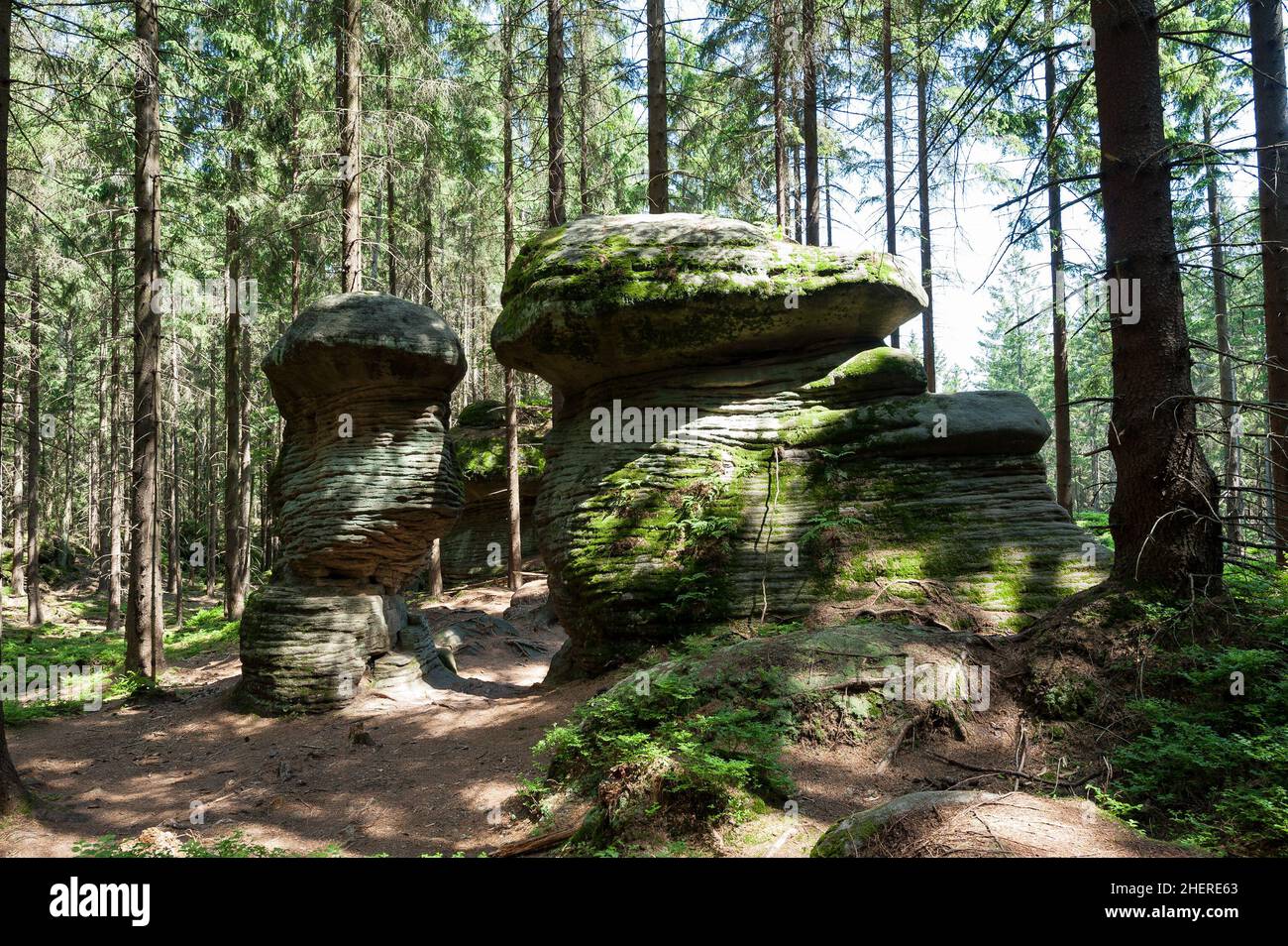 Skalne grzyby in in Stołowe Mountains National Park, Sudetes, Poland ...