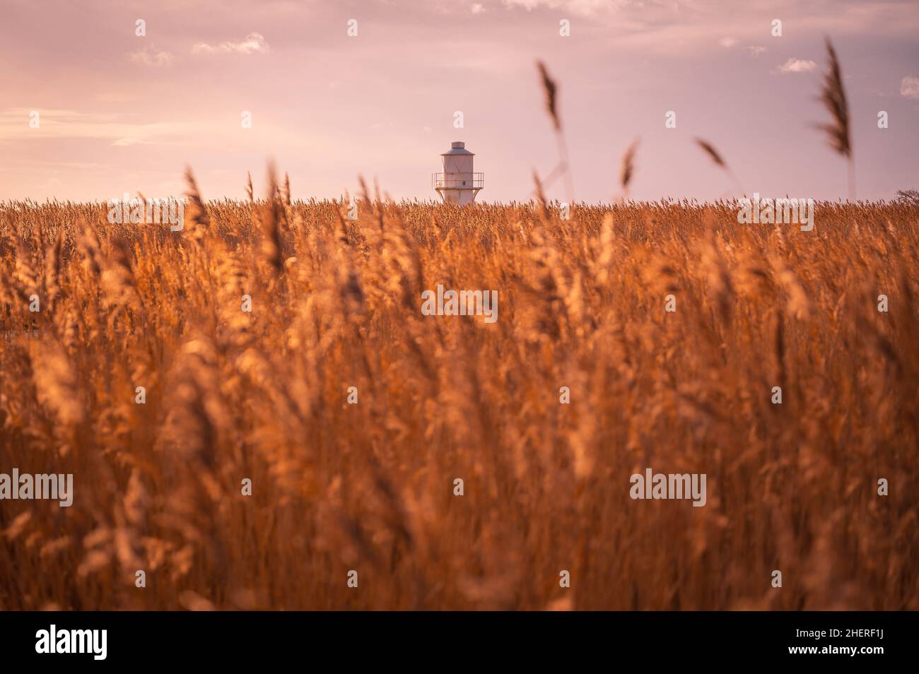 East Usk Lighthouse in the Wetlands of Newport, South Wales Stock Photo ...
