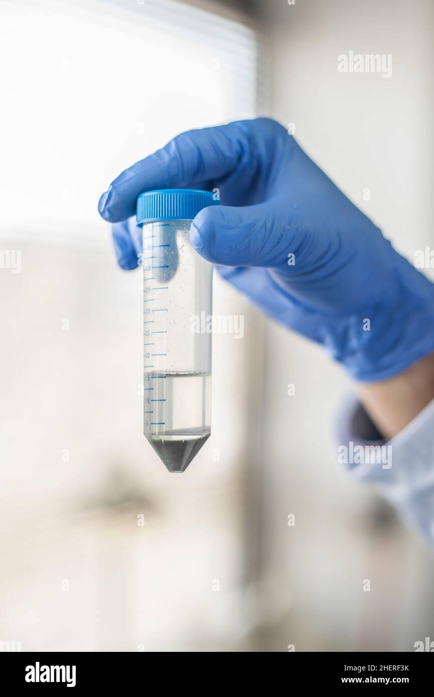 Lab technician holding a test tube with sample in the medical or ...