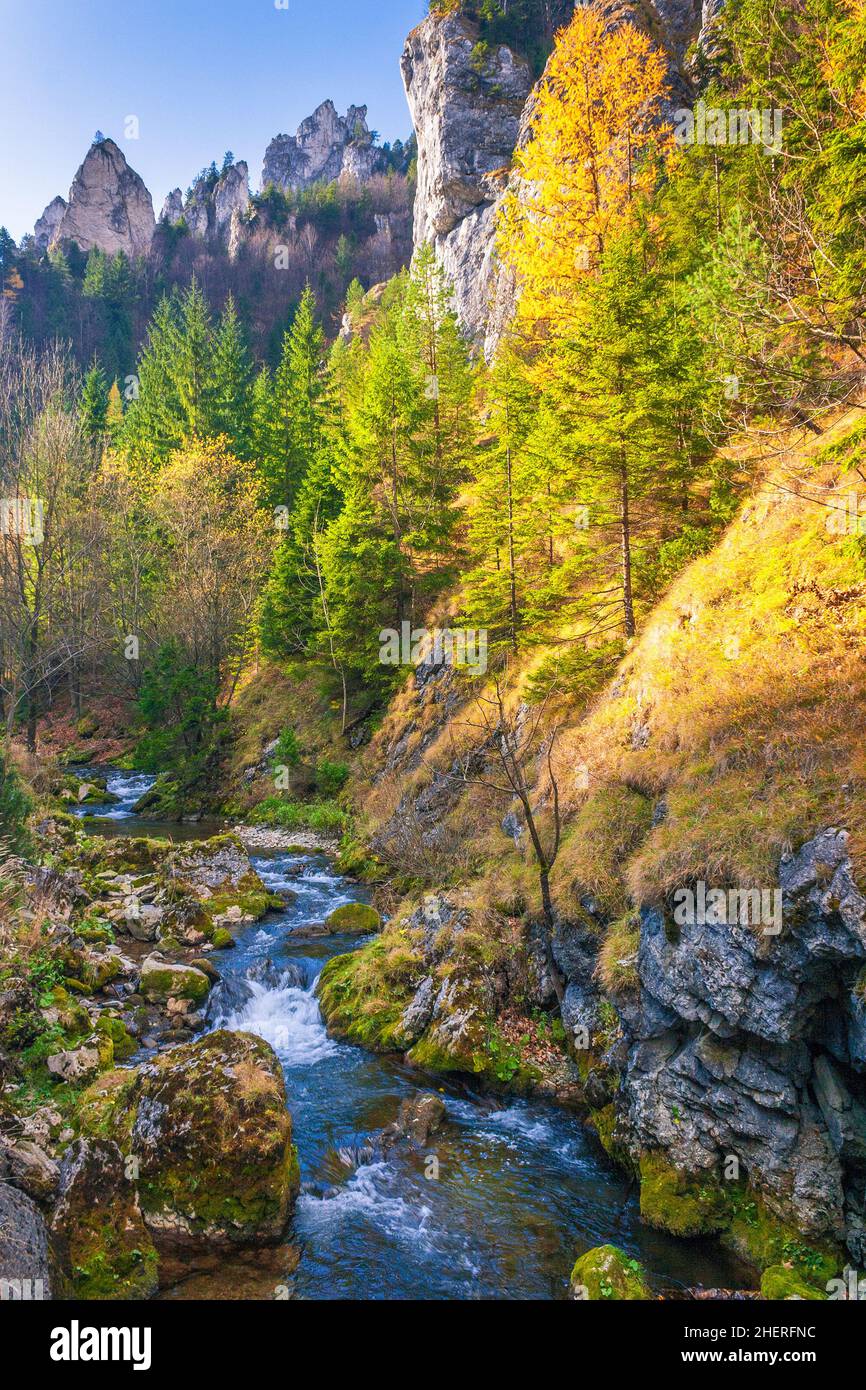 Mountain landscape in autumn season, The Vratna valley at the national ...