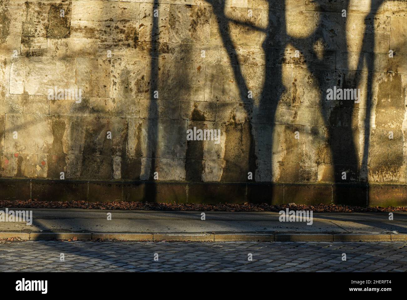 Tree shadow on wall hi-res stock photography and images - Alamy