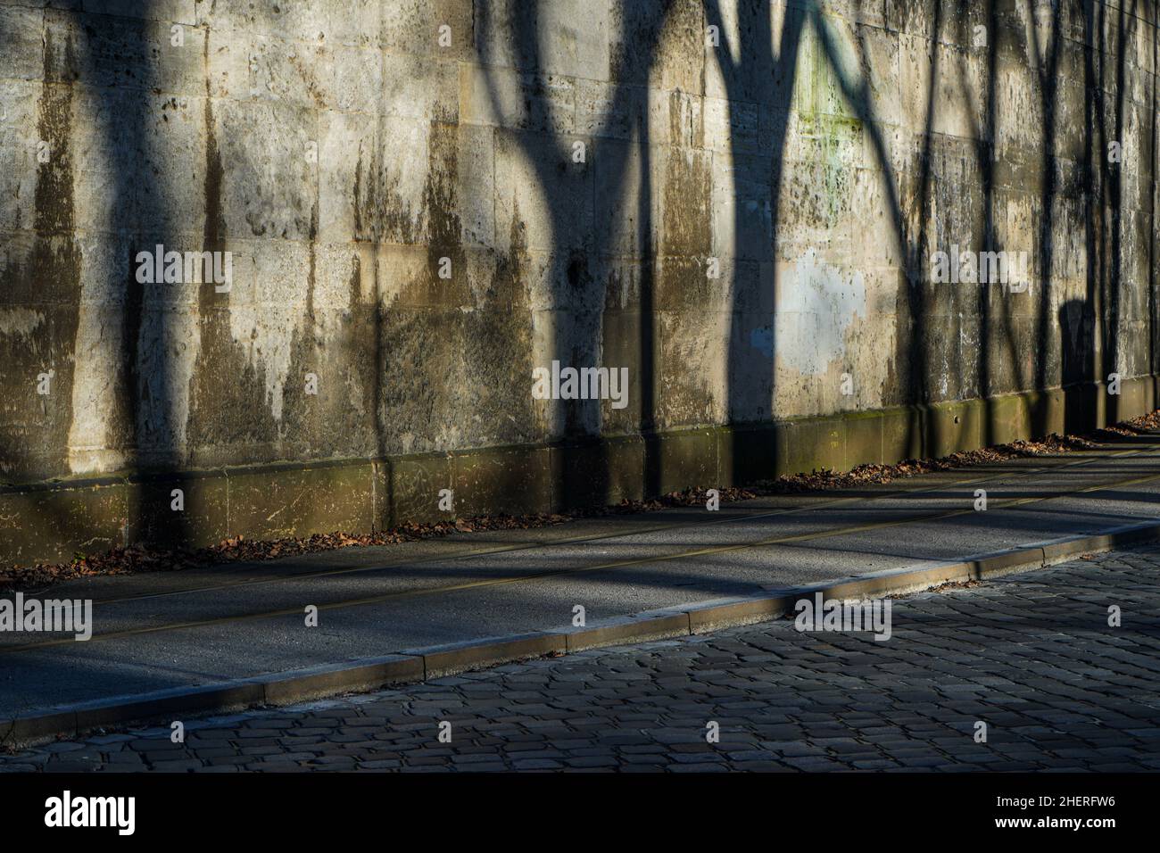 Tree shadows on wall hi-res stock photography and images - Alamy