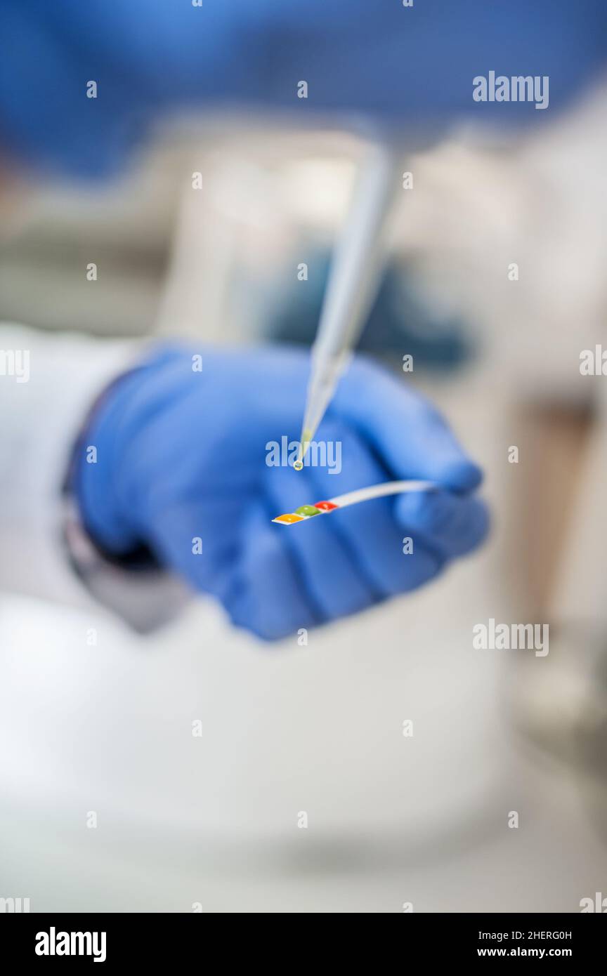 Laboratory technician working with test strips indicator paper in the ...
