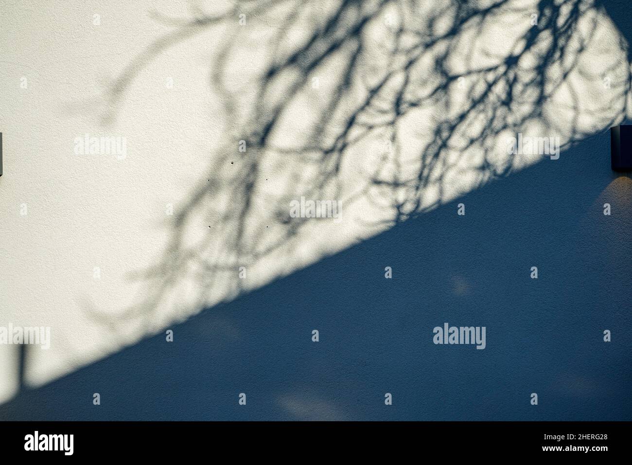 House shading tree hi-res stock photography and images - Alamy