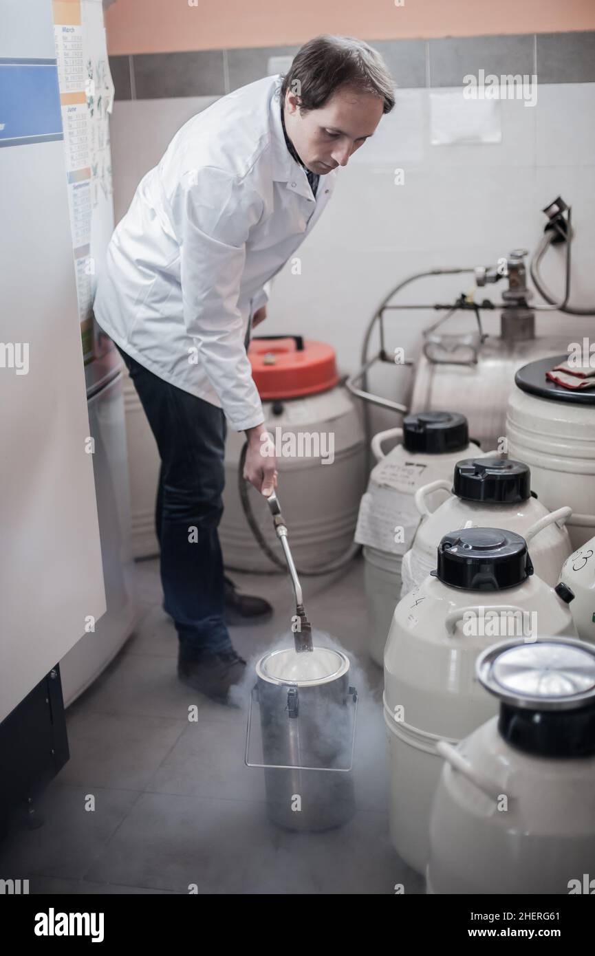 Liquid nitrogen technician fills cryogenic container Stock Photo - Alamy