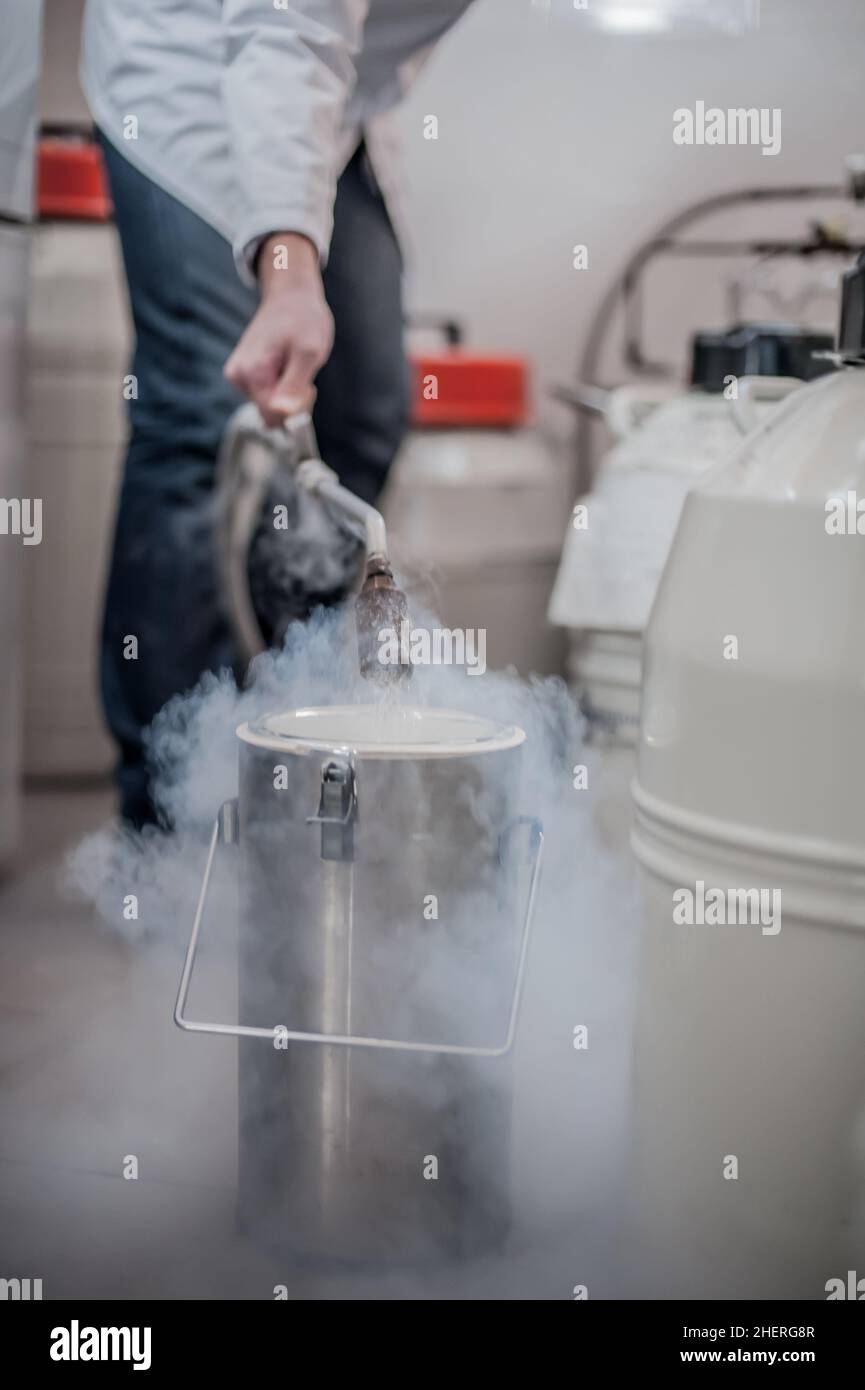 Liquid nitrogen technician fills cryogenic container Stock Photo - Alamy