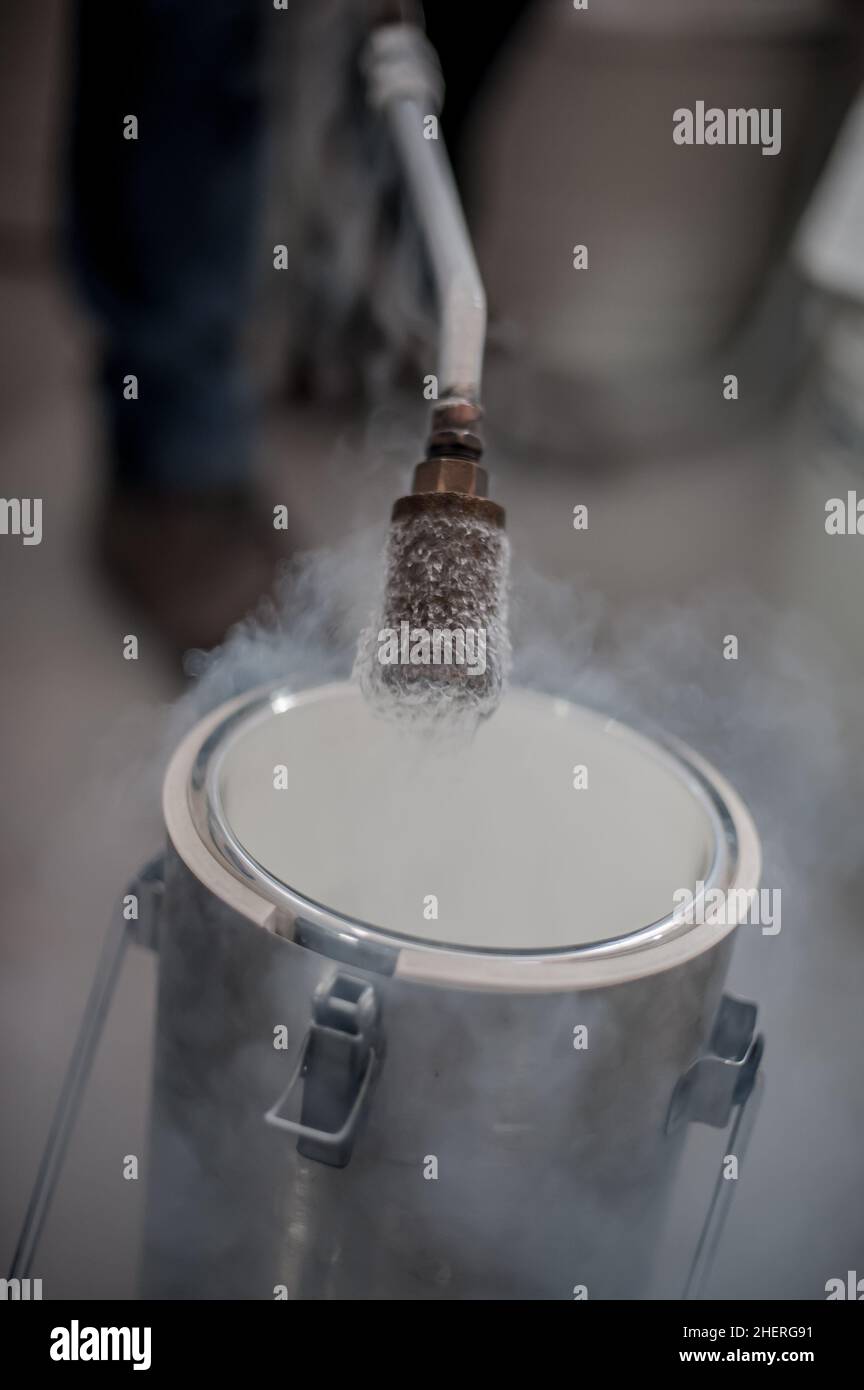 Liquid nitrogen technician fills cryogenic container Stock Photo - Alamy