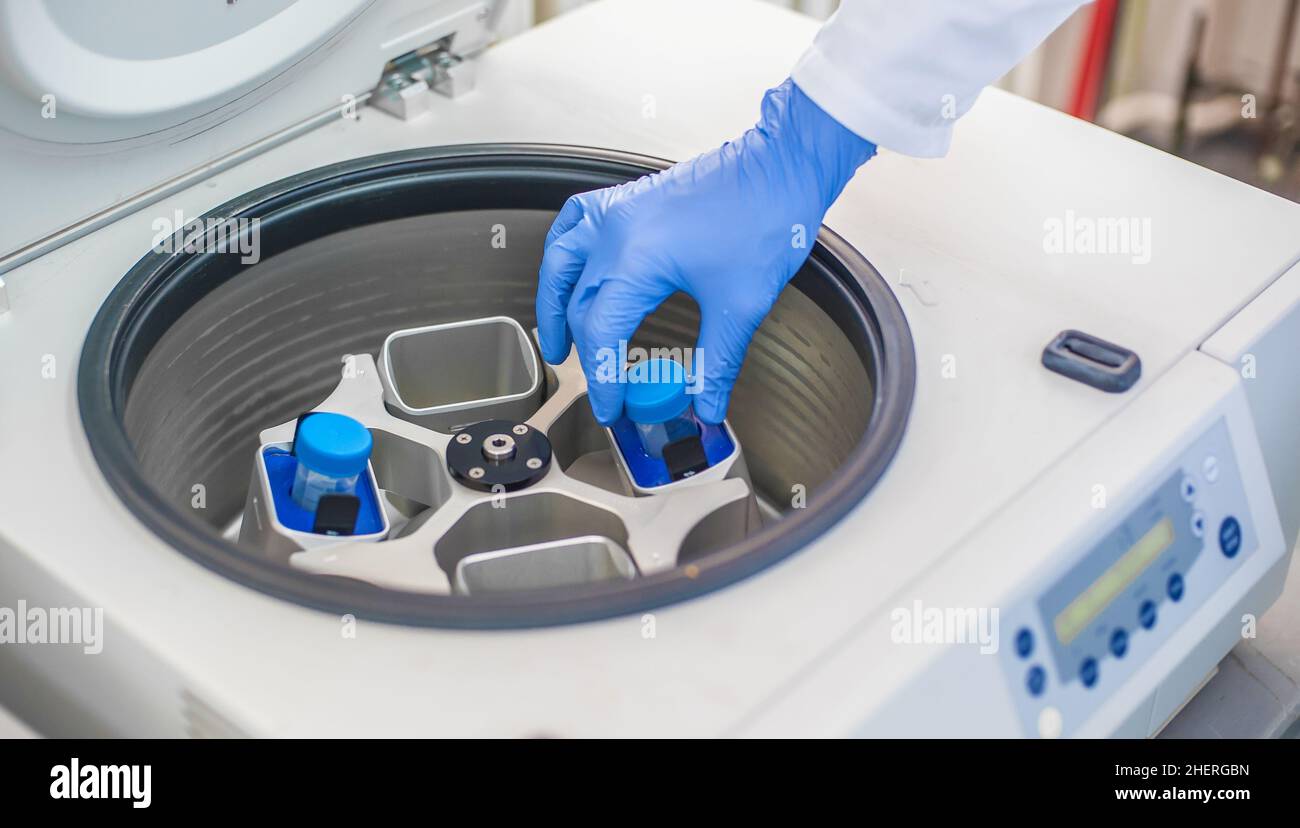 Technician loading a sample to centrifuge machine in the medical or ...