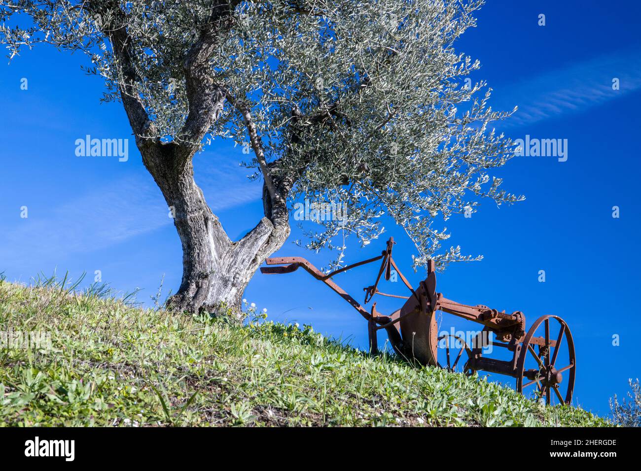 Peasant culture hi-res stock photography and images - Alamy