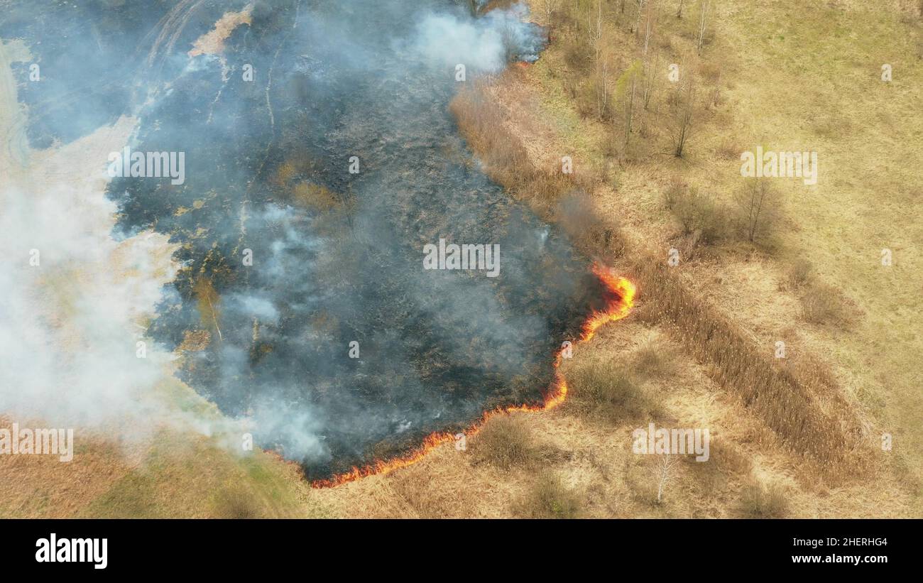 4K Aerial View Spring Dry Grass Burns During Drought Hot Weather. Bush ...