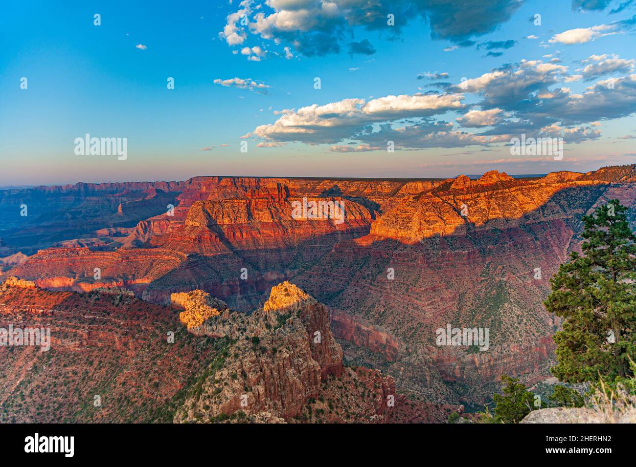 view into the grand canyon from mathers point, USA Stock Photo - Alamy