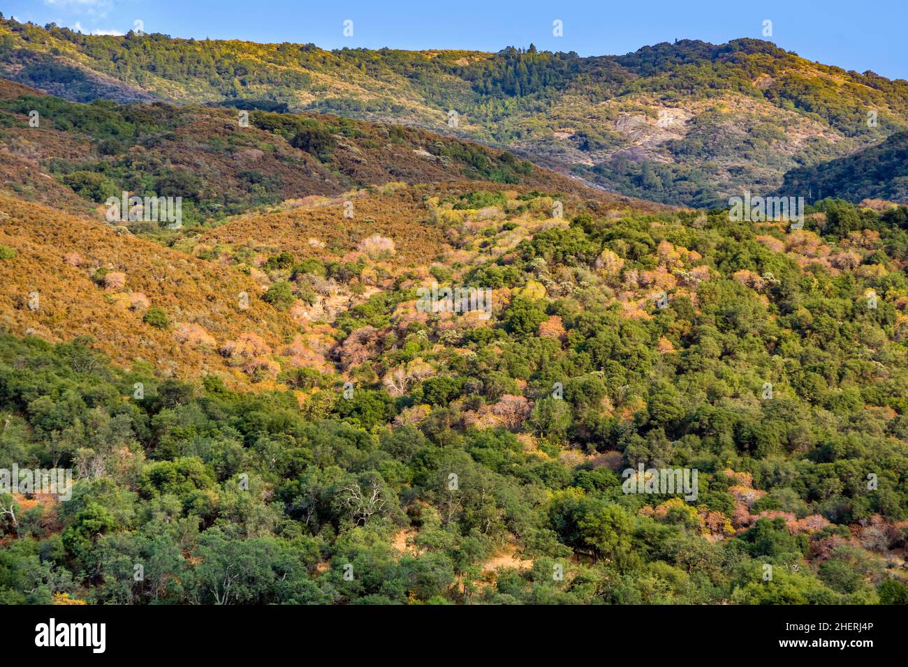 scenic landscape in Sequoia national park with river Kaweah Stock Photo ...