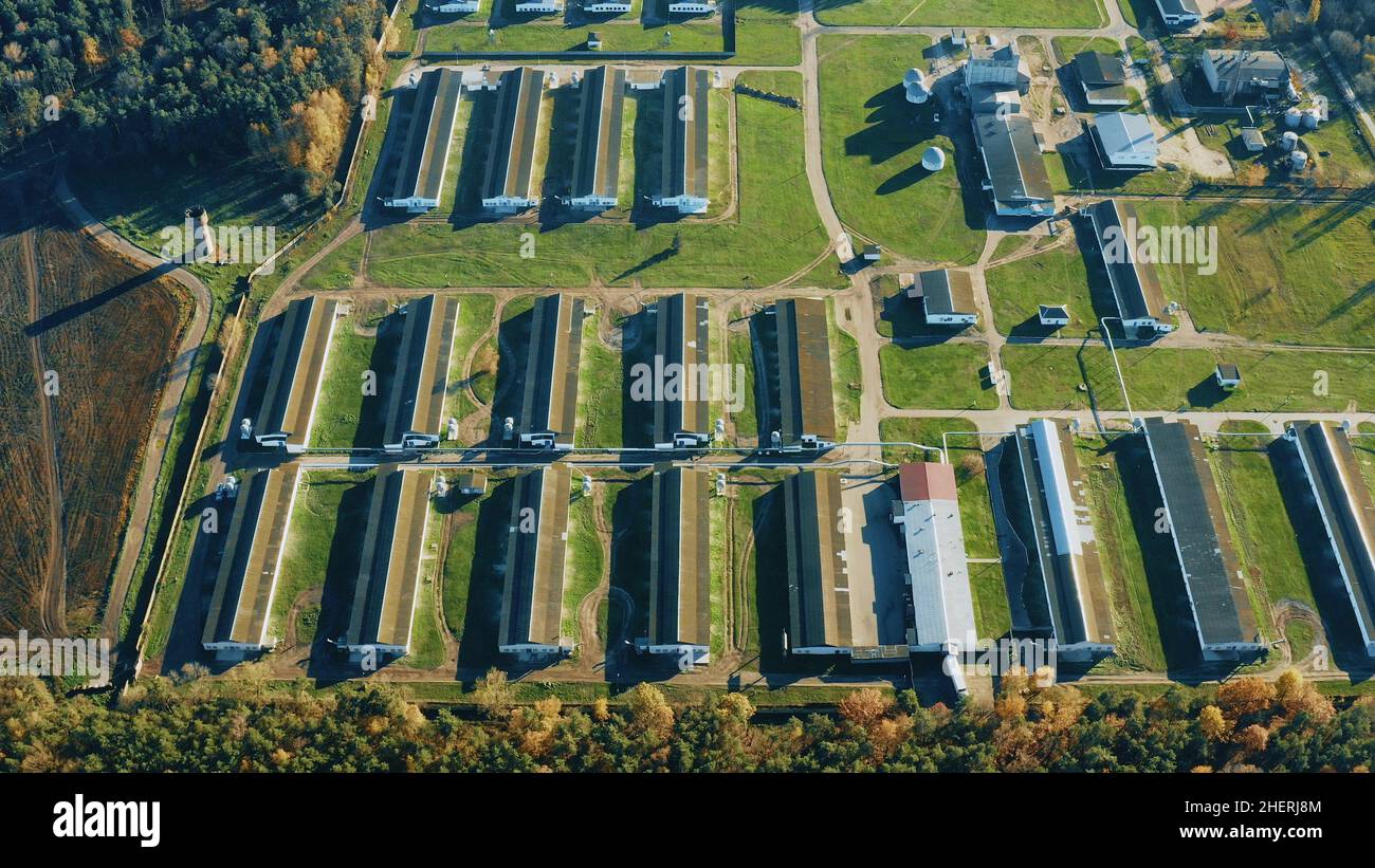 Aerial View Modern chicken farm, barns, Sheds. Bird's-eye View In Sunny ...