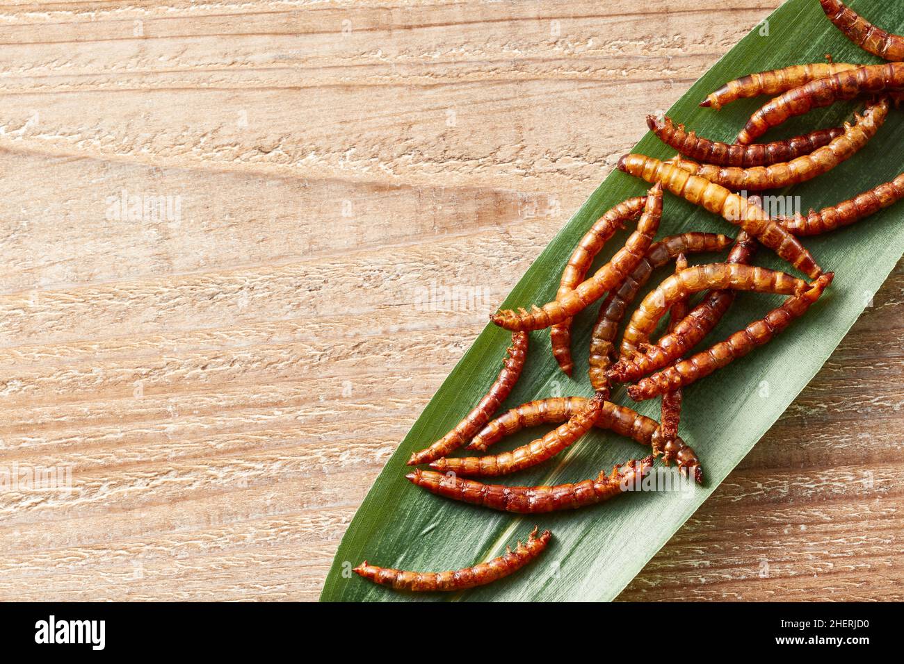 Superworm hi-res stock photography and images - Alamy