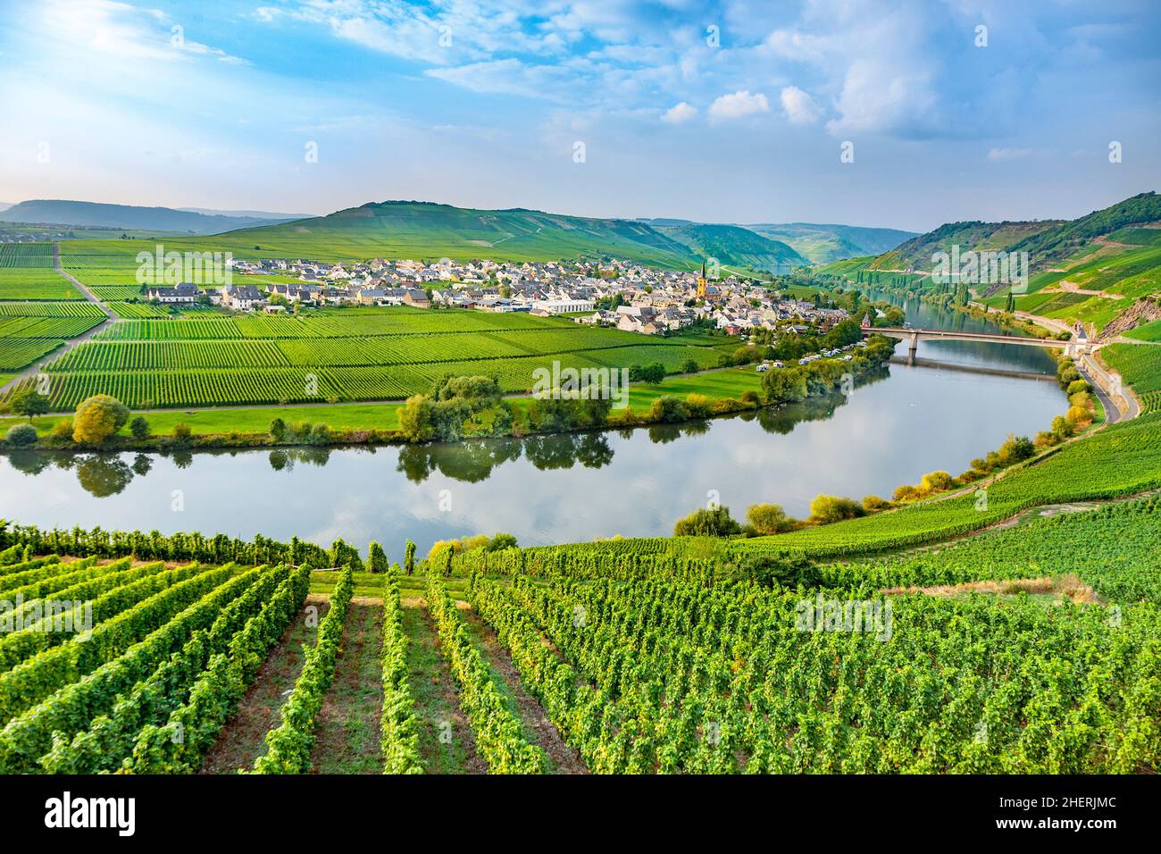 famous Moselle Sinuosity in Trittenheim, germany Stock Photo - Alamy