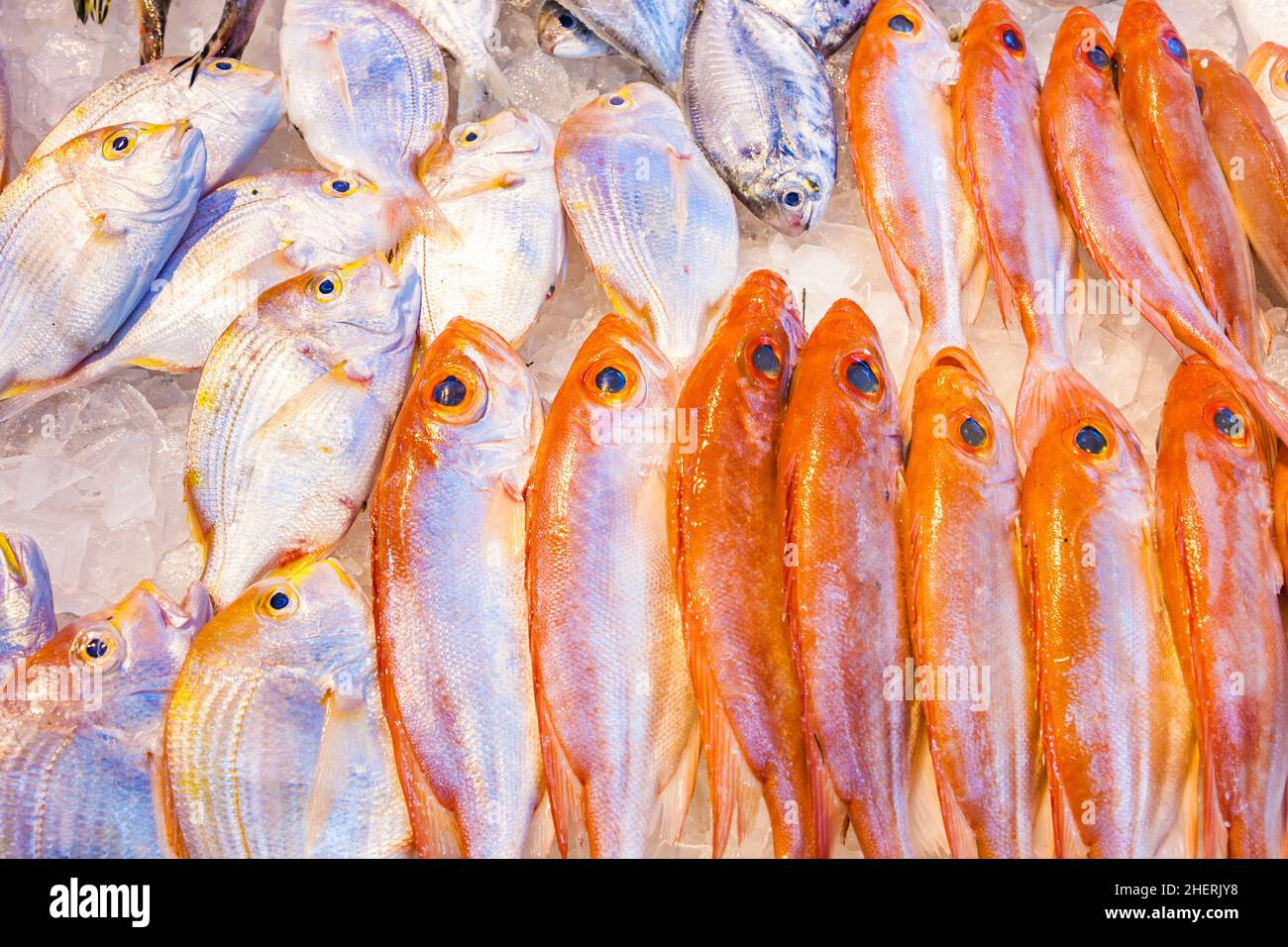 whole fresh fishes are offered in the fish market in asia Stock Photo ...