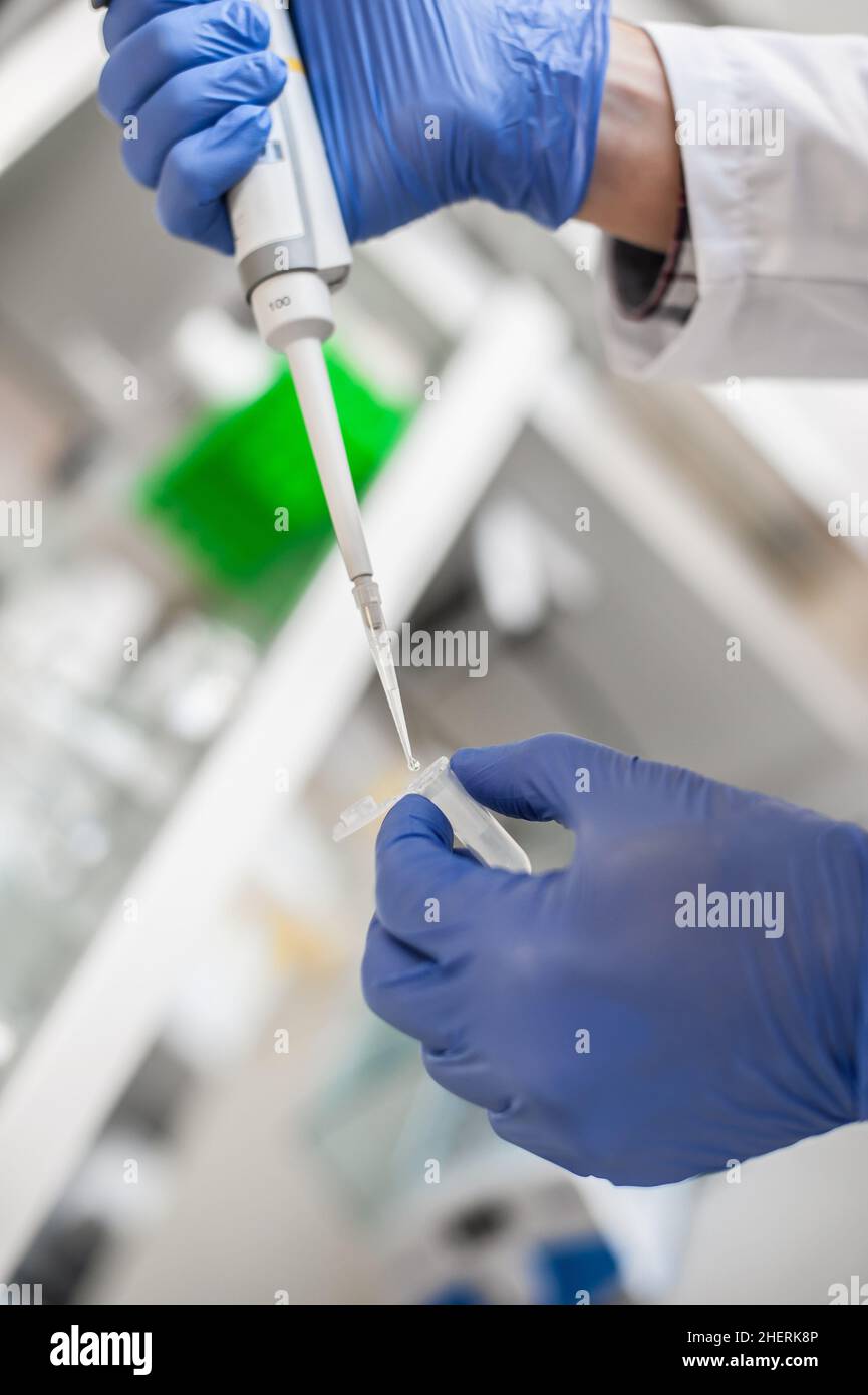 Scientific laboratory technician pipetting in research lab. Macro shot ...