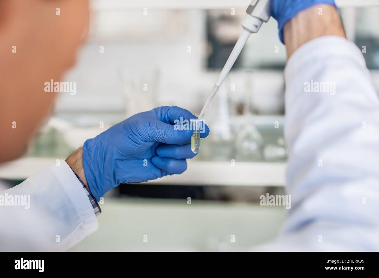 Researcher pipetting in laboratory hi-res stock photography and images ...