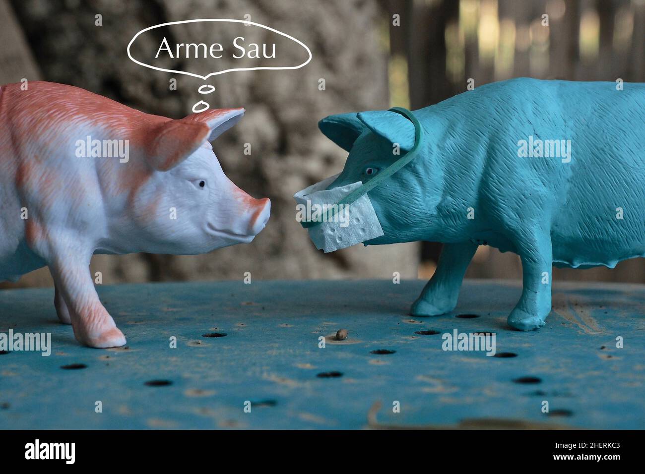 Word picture, turquoise pig with mouth guard and landsau, poor sow ...