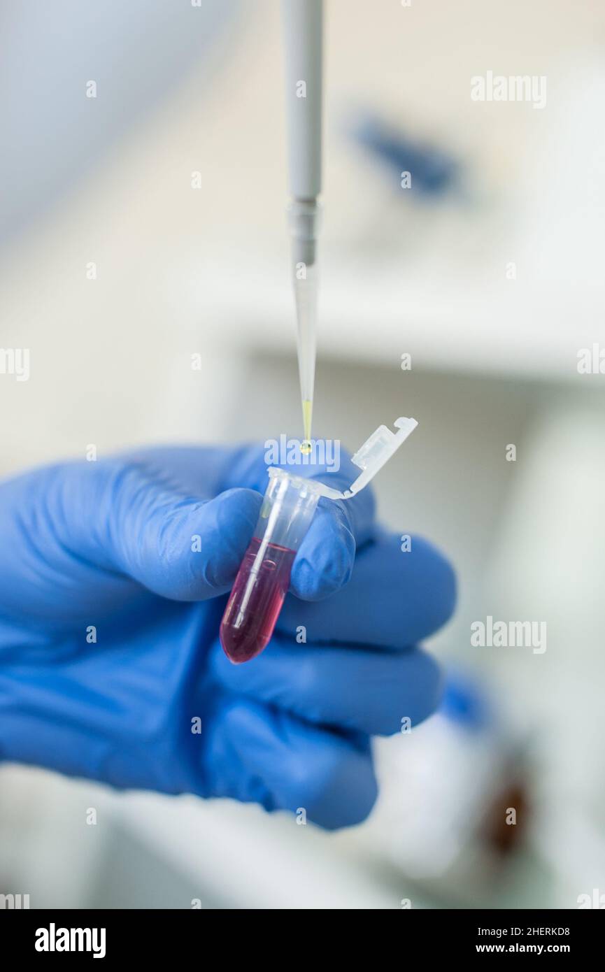 Scientific laboratory technician pipetting in research lab. Macro shot ...