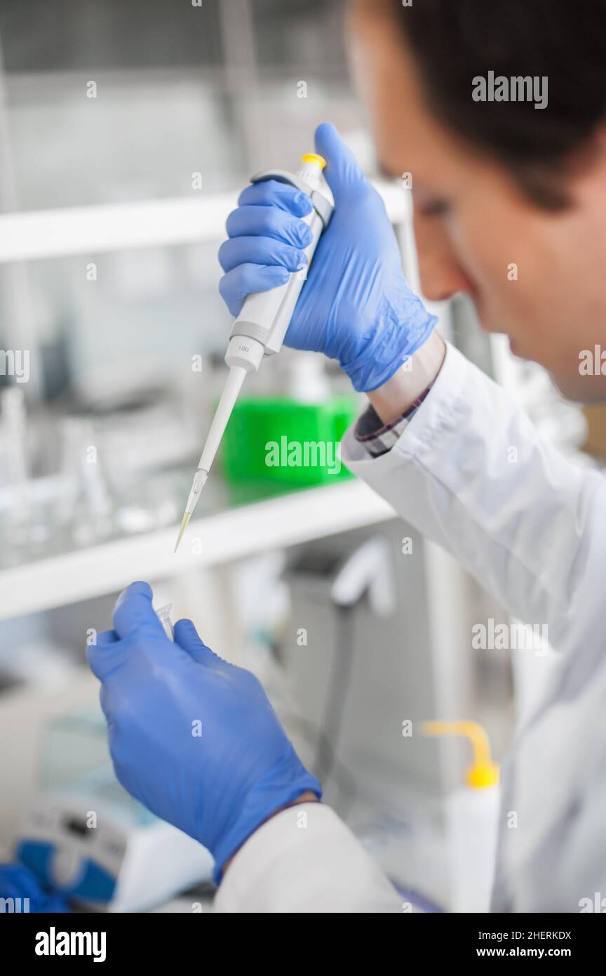 Male scientist in the medical laboratory filling test tubes with ...