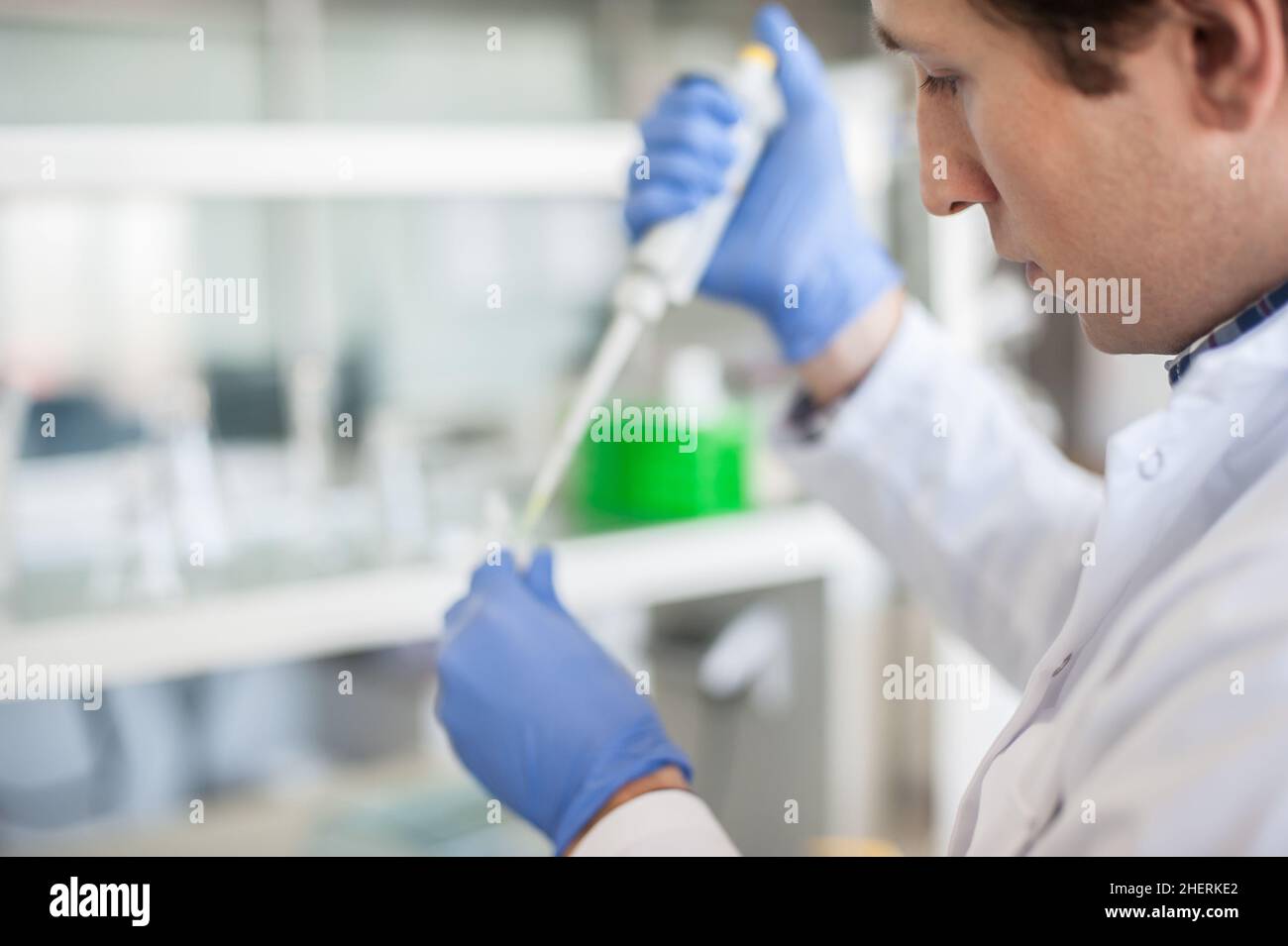 Male scientist in the medical laboratory filling test tubes with ...