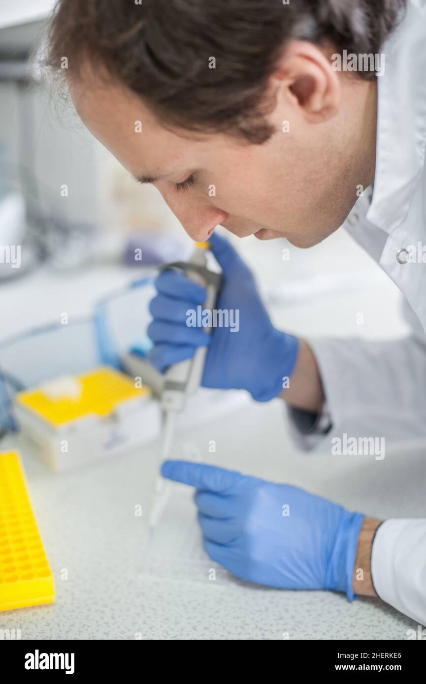 Male scientist in the medical laboratory filling test tubes with ...