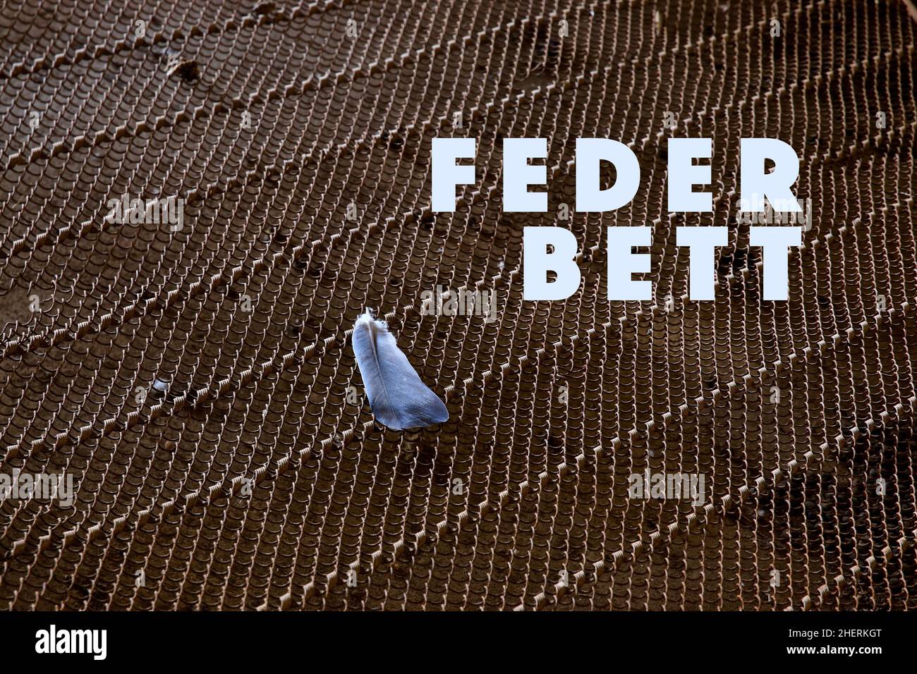 German Word For Feather Bed at Rosetta Cogan blog