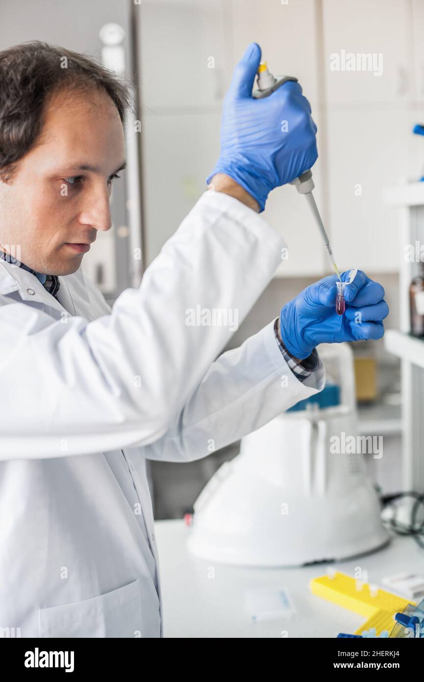 Male scientist in the medical laboratory filling test tubes with ...