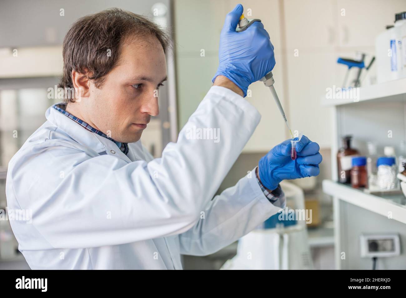 Male scientist in the medical laboratory filling test tubes with ...