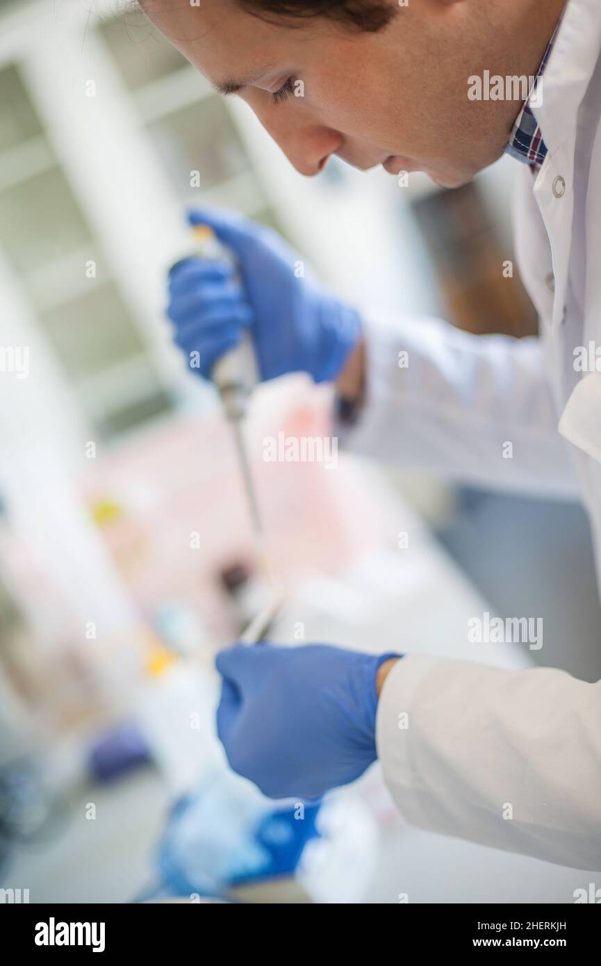 Male scientist in the medical laboratory filling test tubes with ...