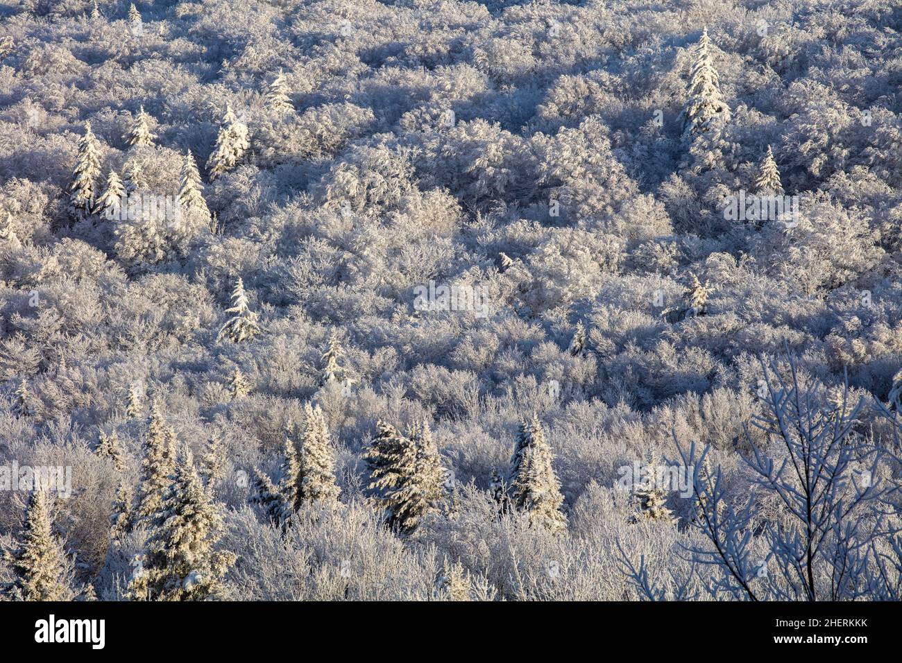 Quebec city winter hi-res stock photography and images - Alamy